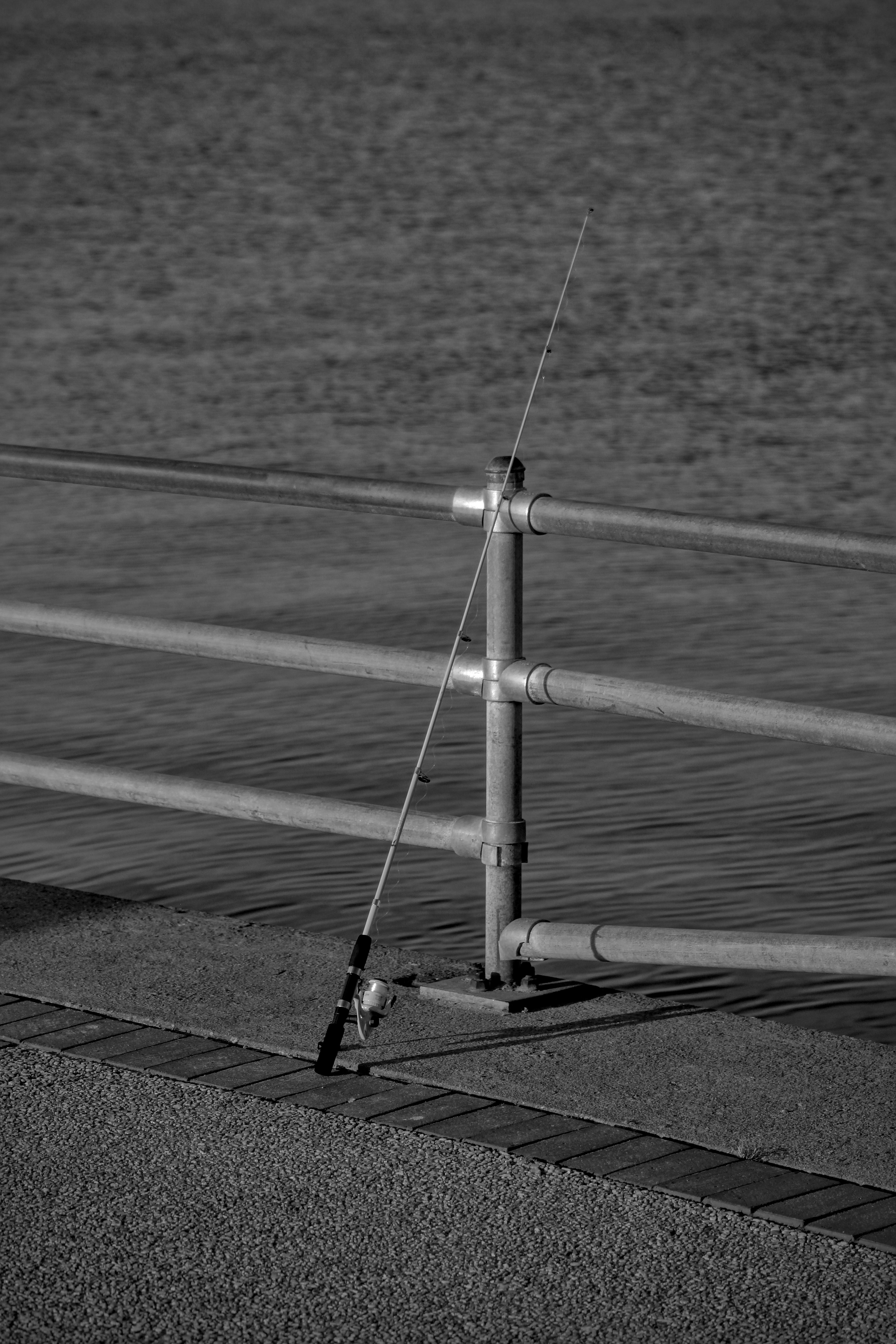 Fishing Rod on Railing on Seashore · Free Stock Photo