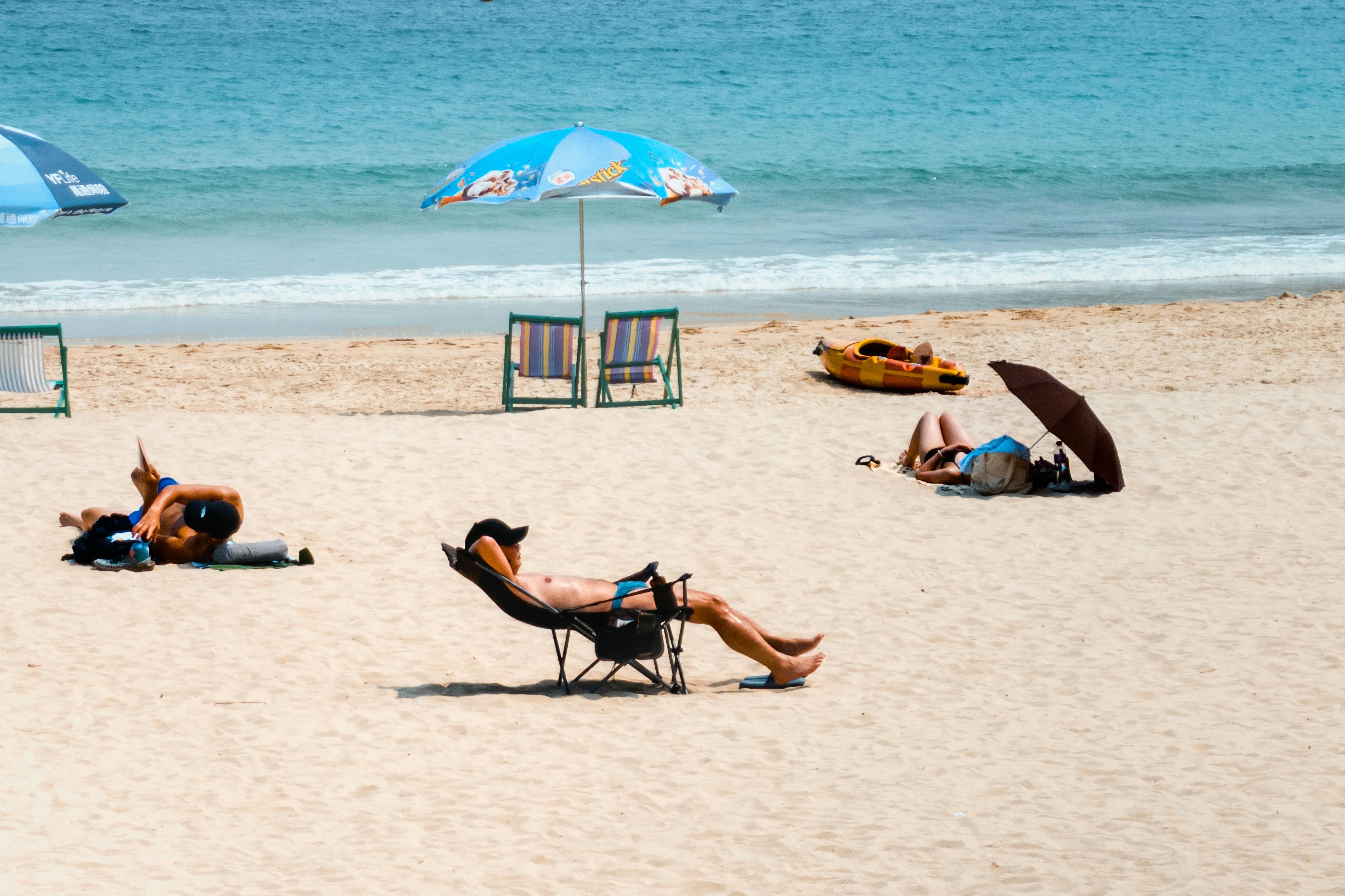 People Sunbathing on Beach · Free Stock Photo