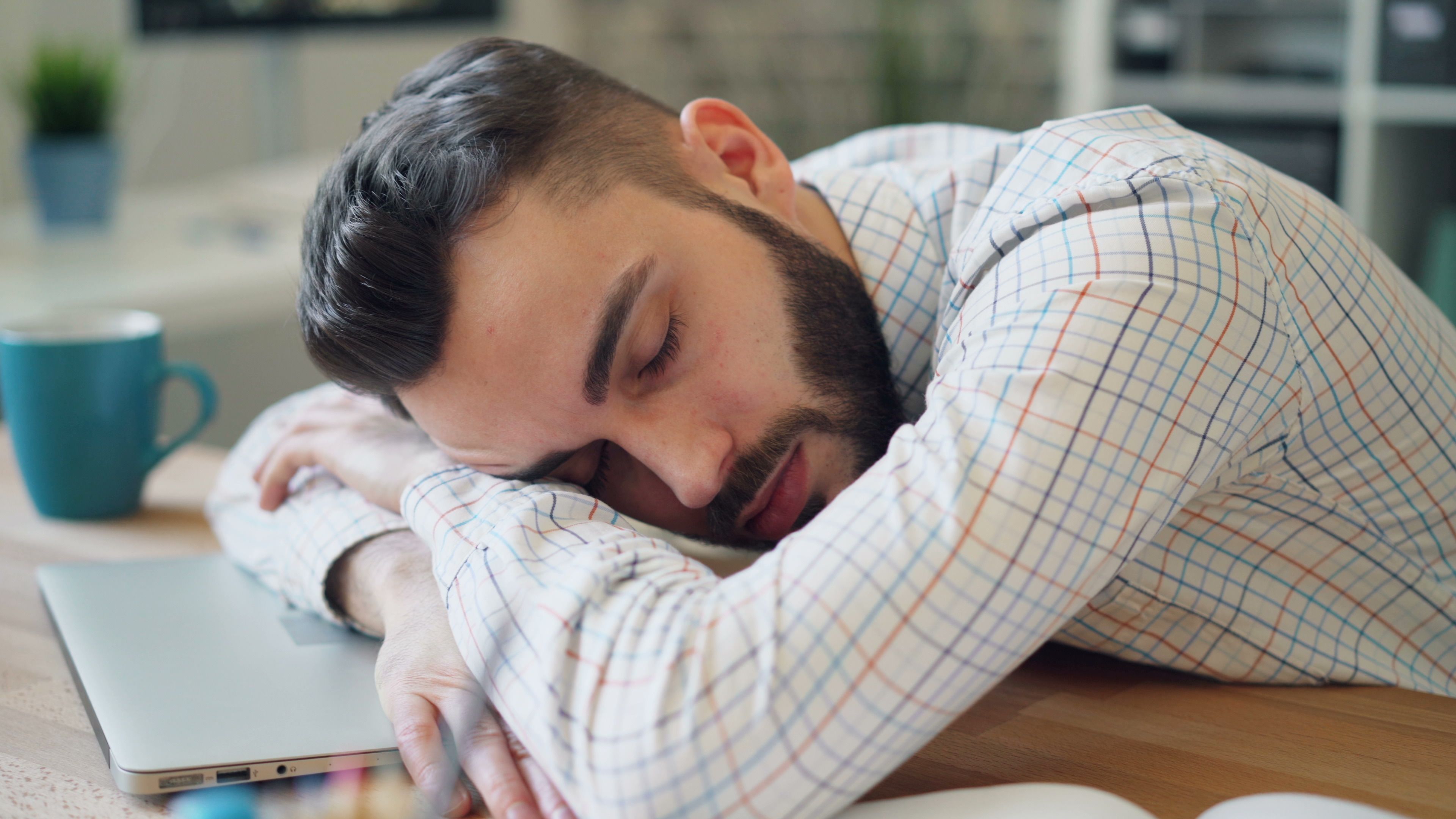 Cup Trans Man Nap Photos, Download The BEST Free Cup Trans Man Nap ...