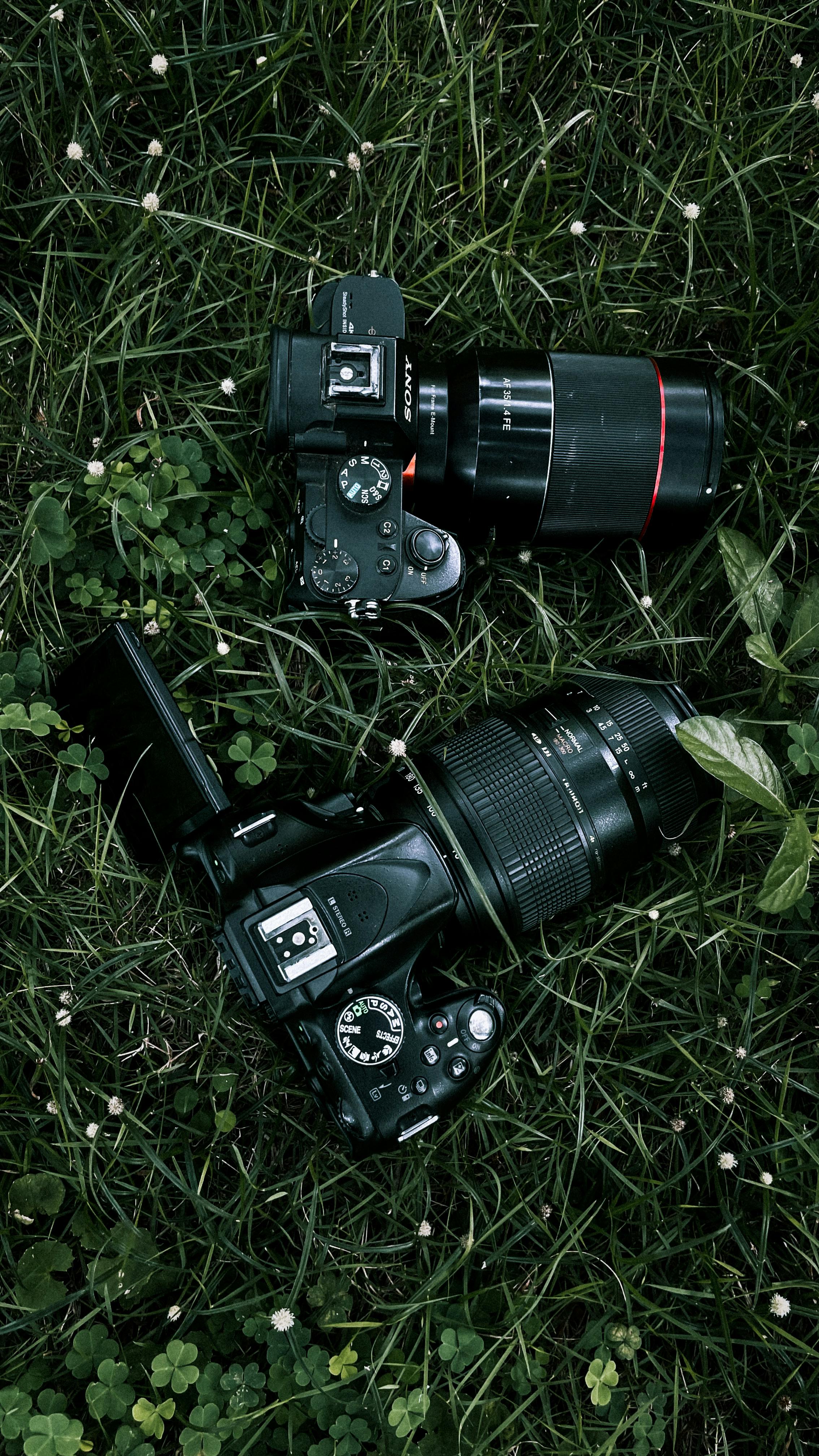 Cameras on Grass · Free Stock Photo