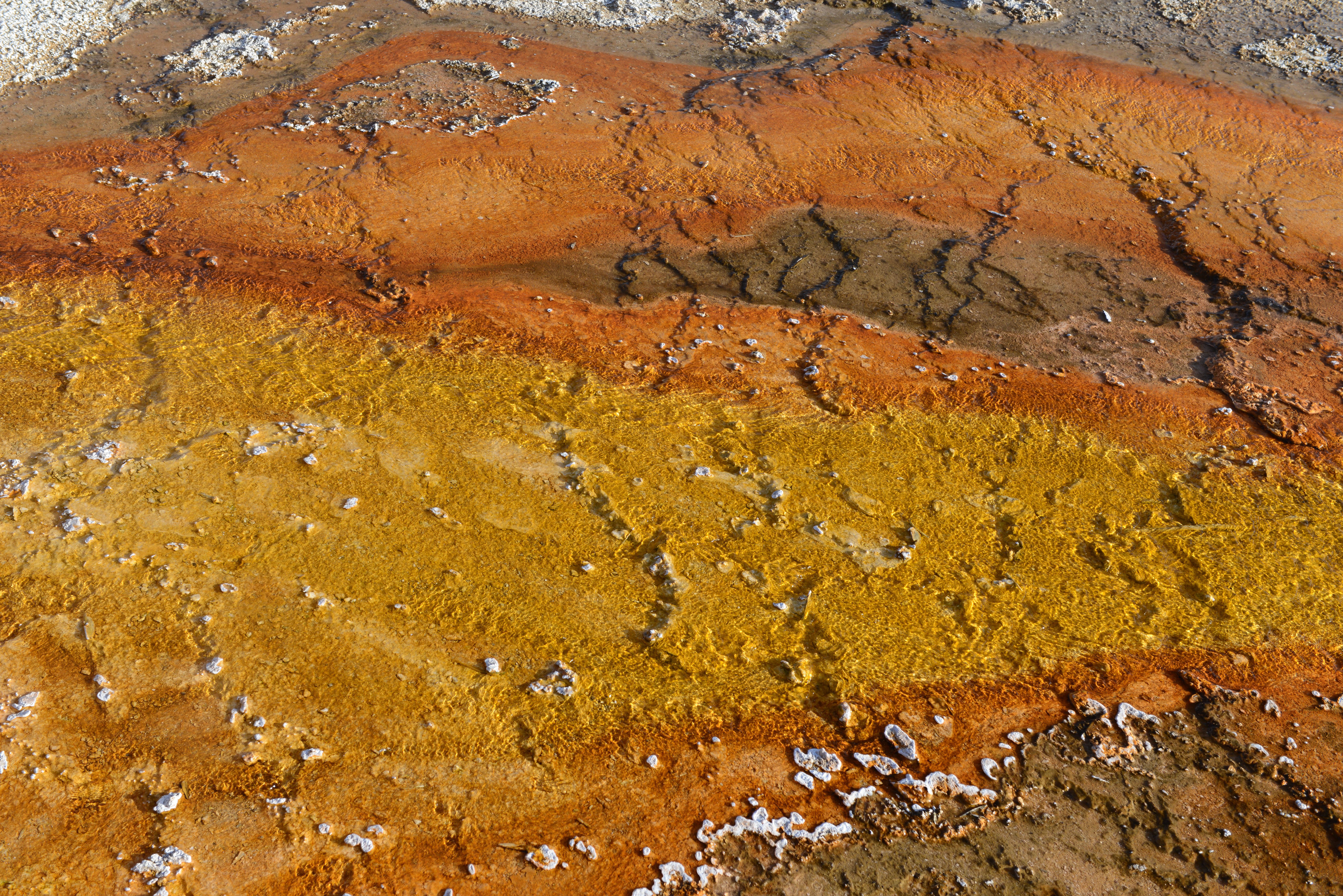 Orange and Yellow Ground · Free Stock Photo