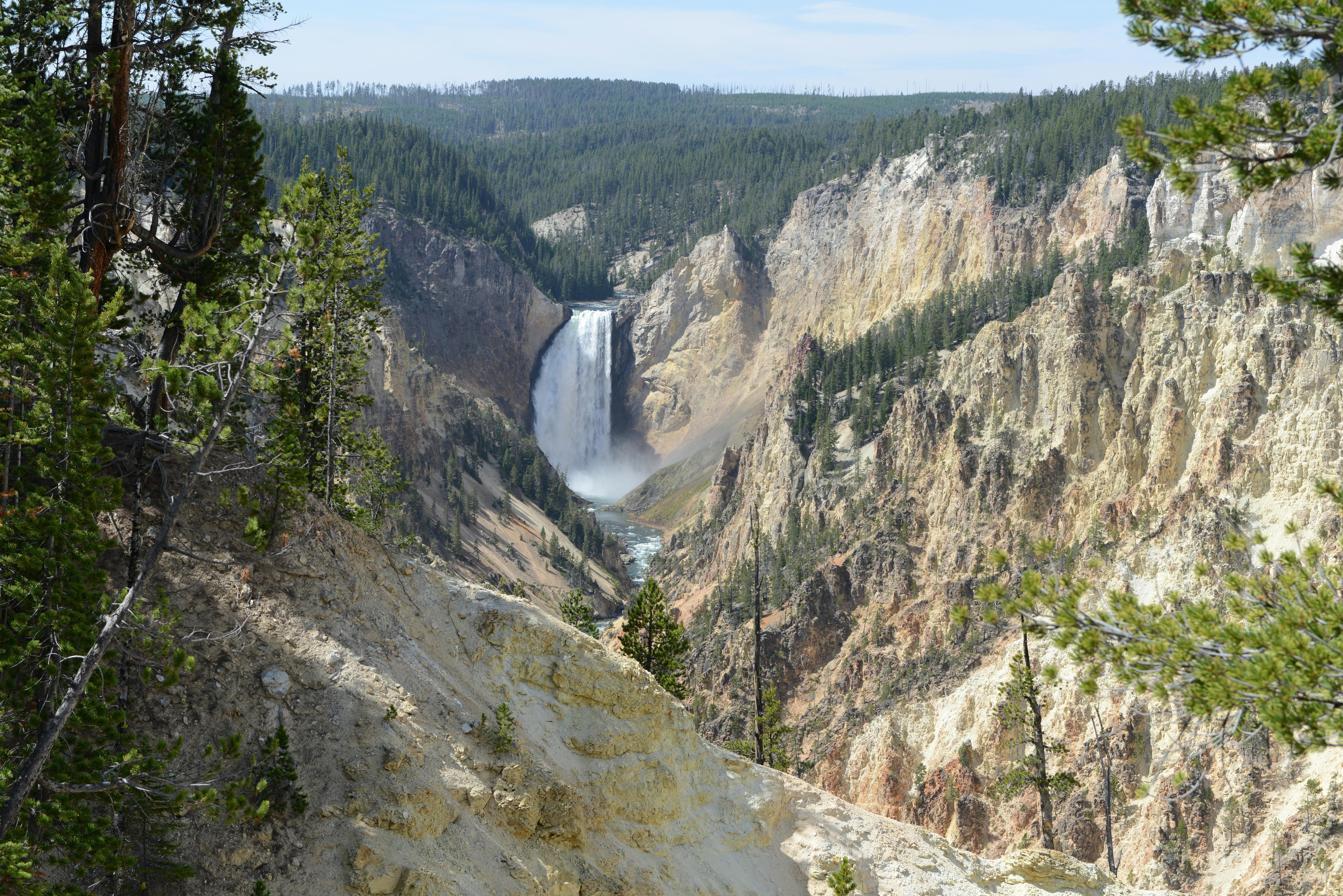 Grand Canyon of the Yellowstone · Free Stock Photo