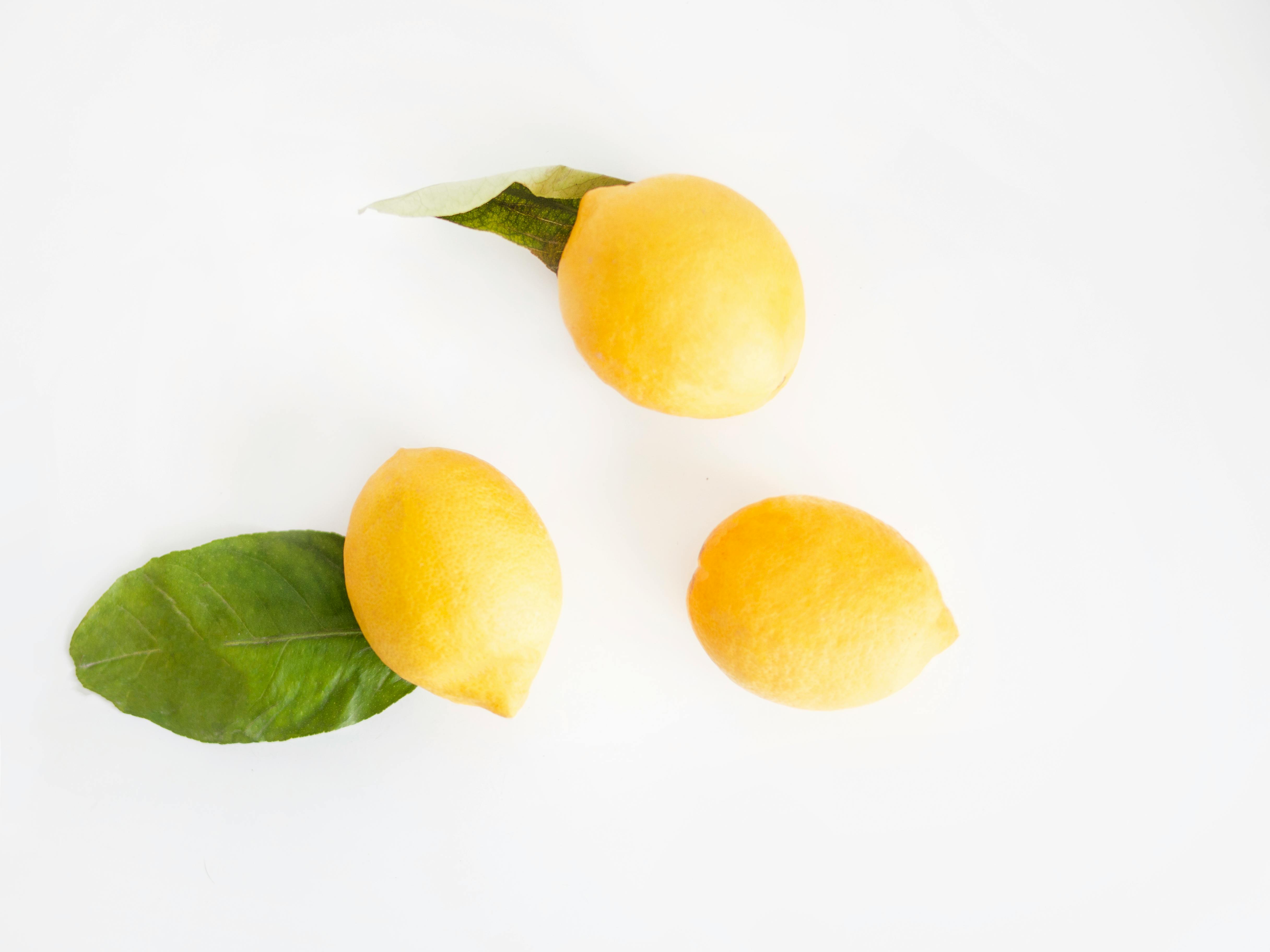 Lemons Photos, Download The BEST Free Lemons Stock Photos & HD Images