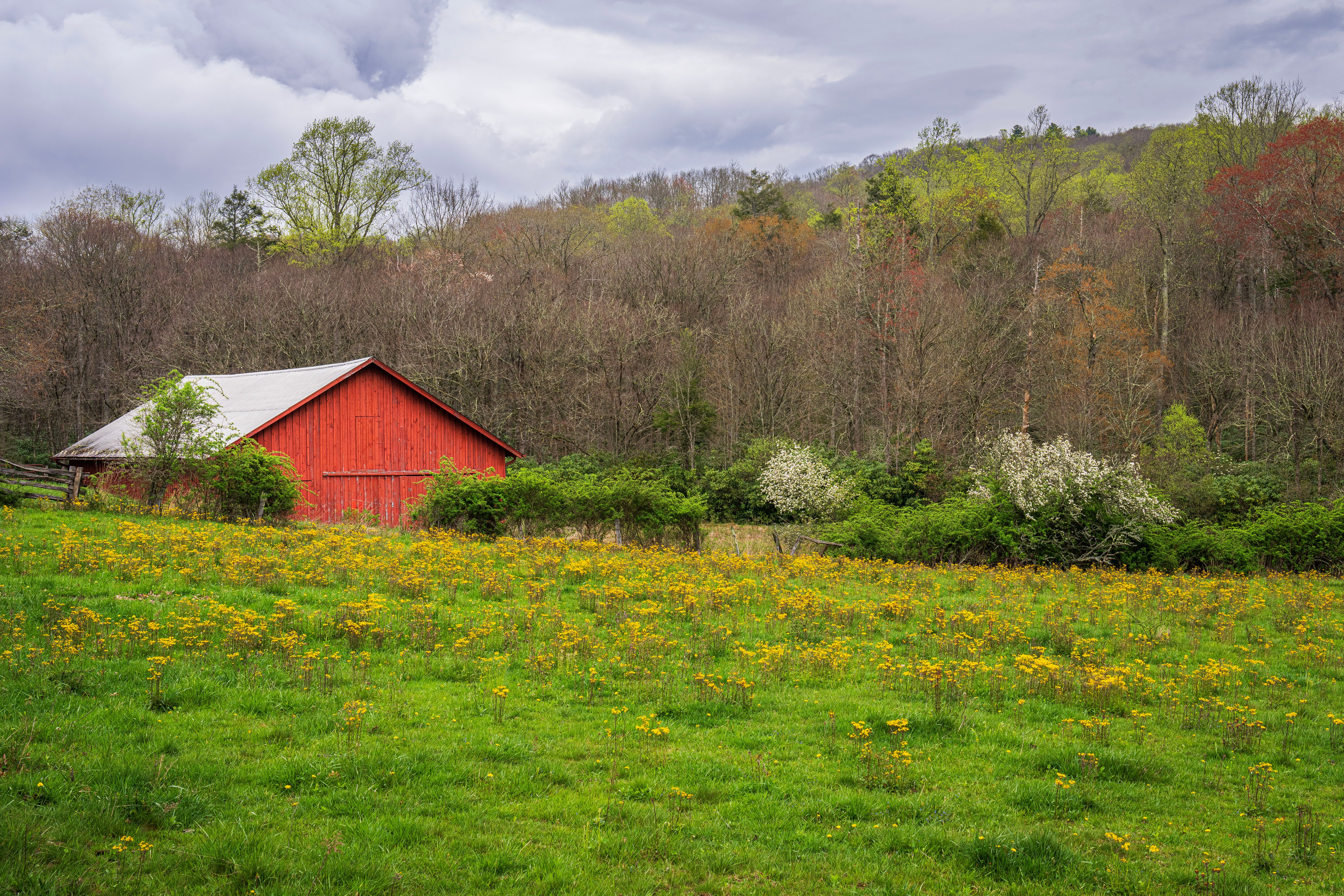 A red barn in a field with flowers · Free Stock Photo