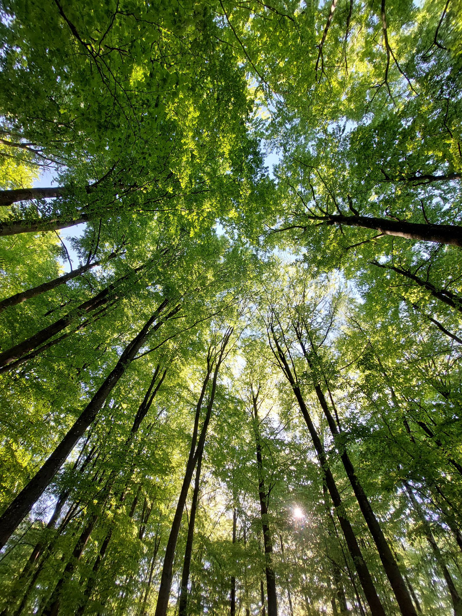 Green Writer Photos, Download The BEST Free Green Writer Stock Photos ...