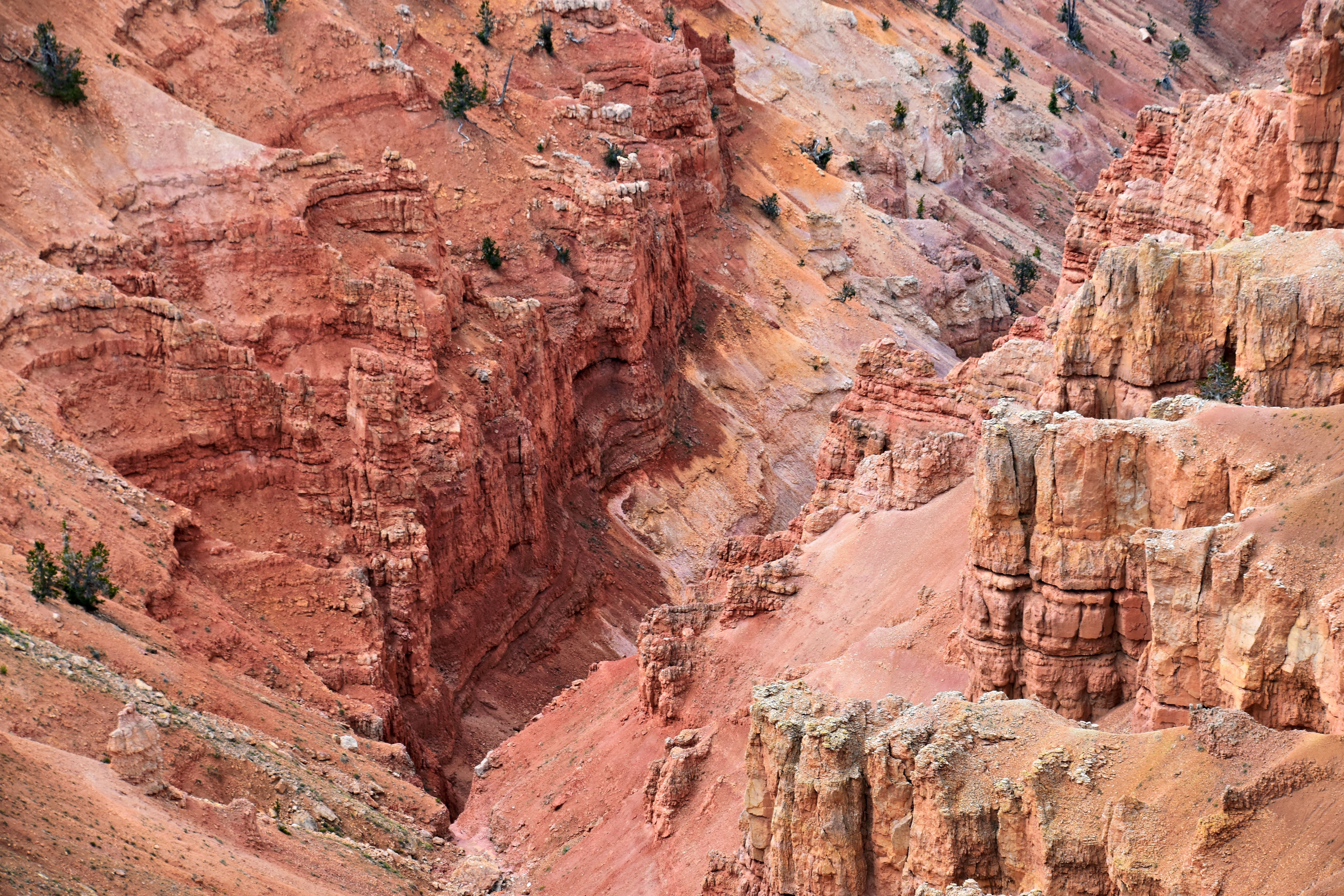 The red cliffs of bryce canyon · Free Stock Photo