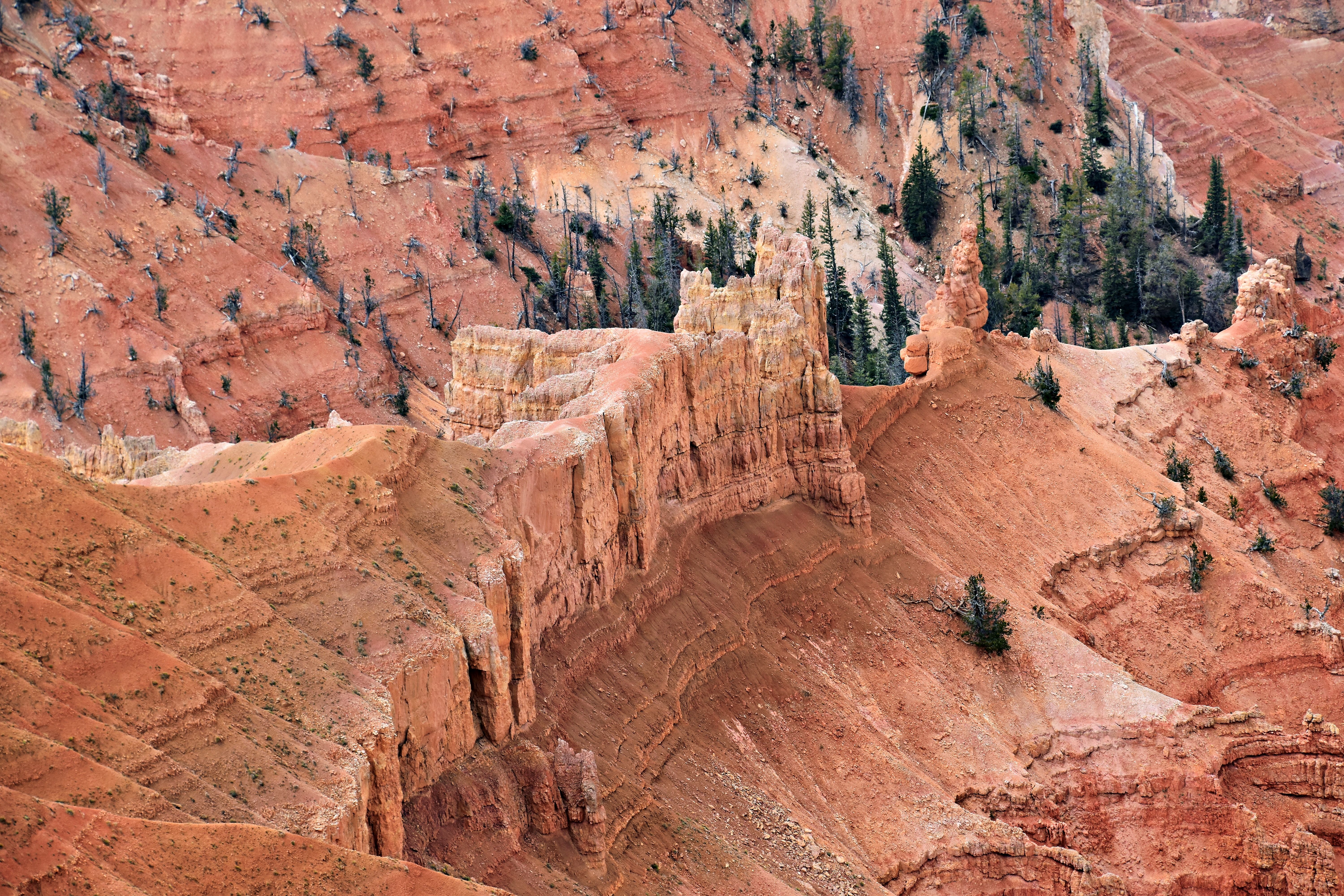 The red cliffs of bryce canyon · Free Stock Photo