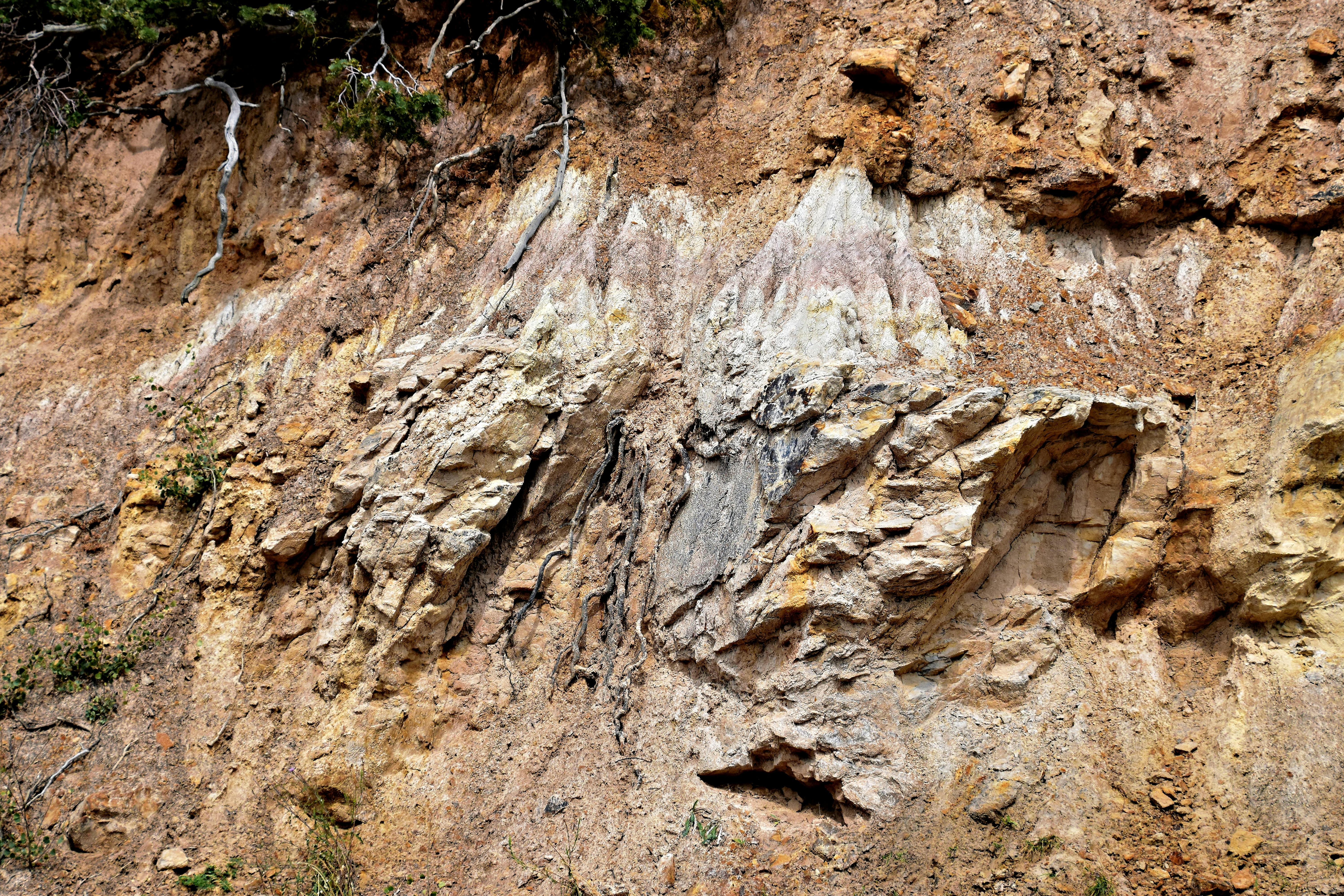 Close-up of a Rough Cliff Surface · Free Stock Photo