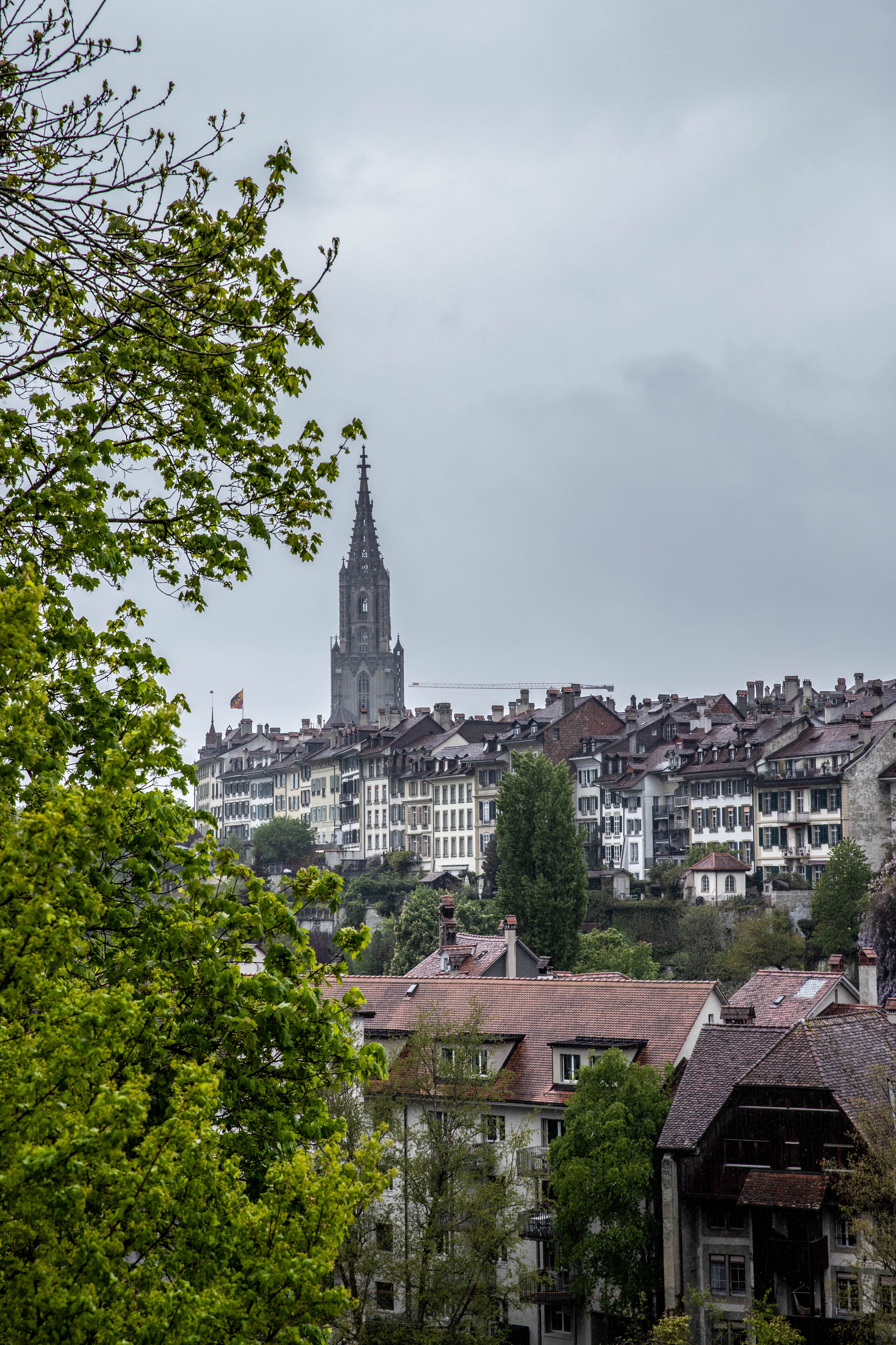 View of Cathedral in Bern · Free Stock Photo