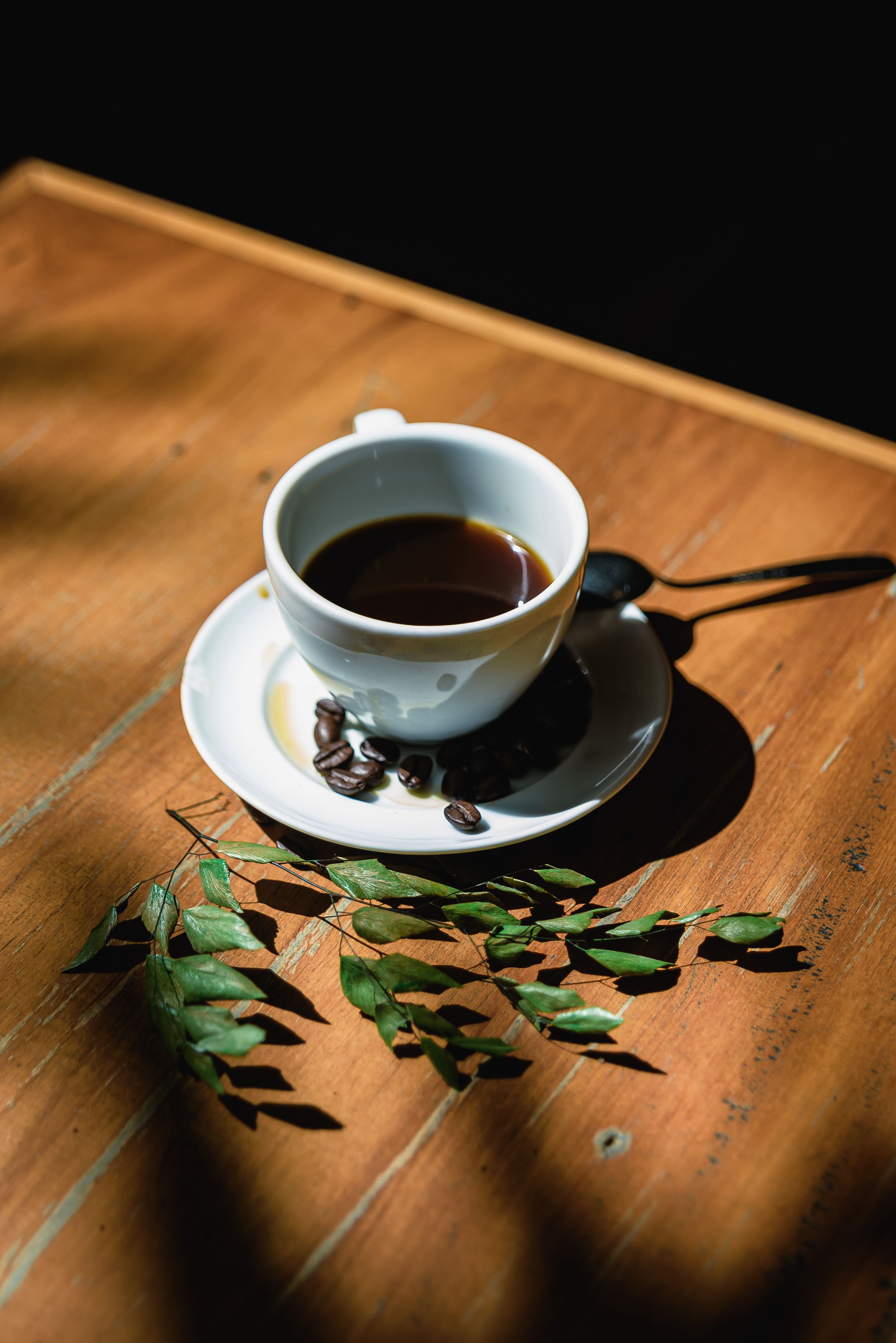 Cup of Coffee on Plate · Free Stock Photo