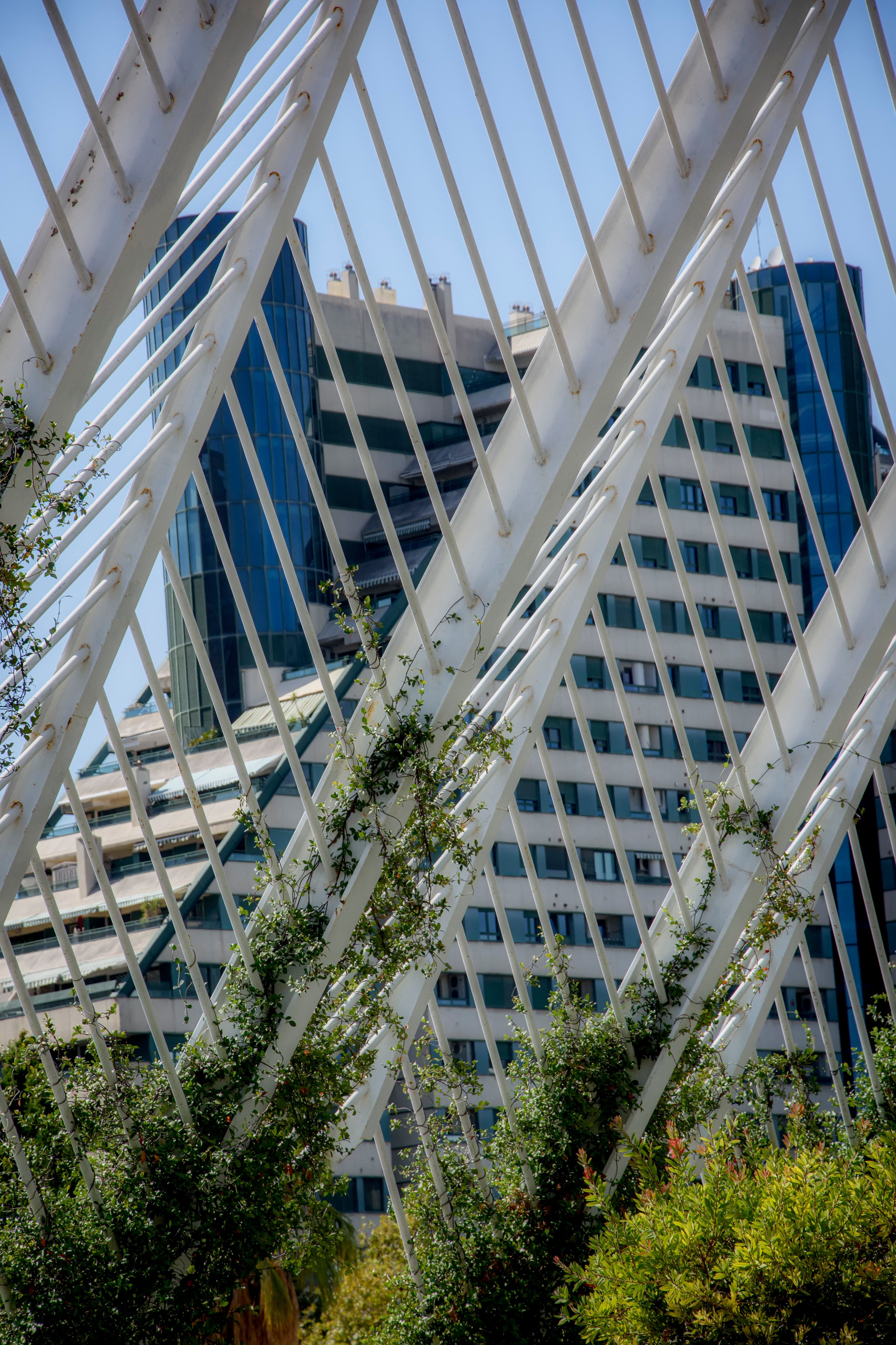 Residential Building behind Pillars · Free Stock Photo