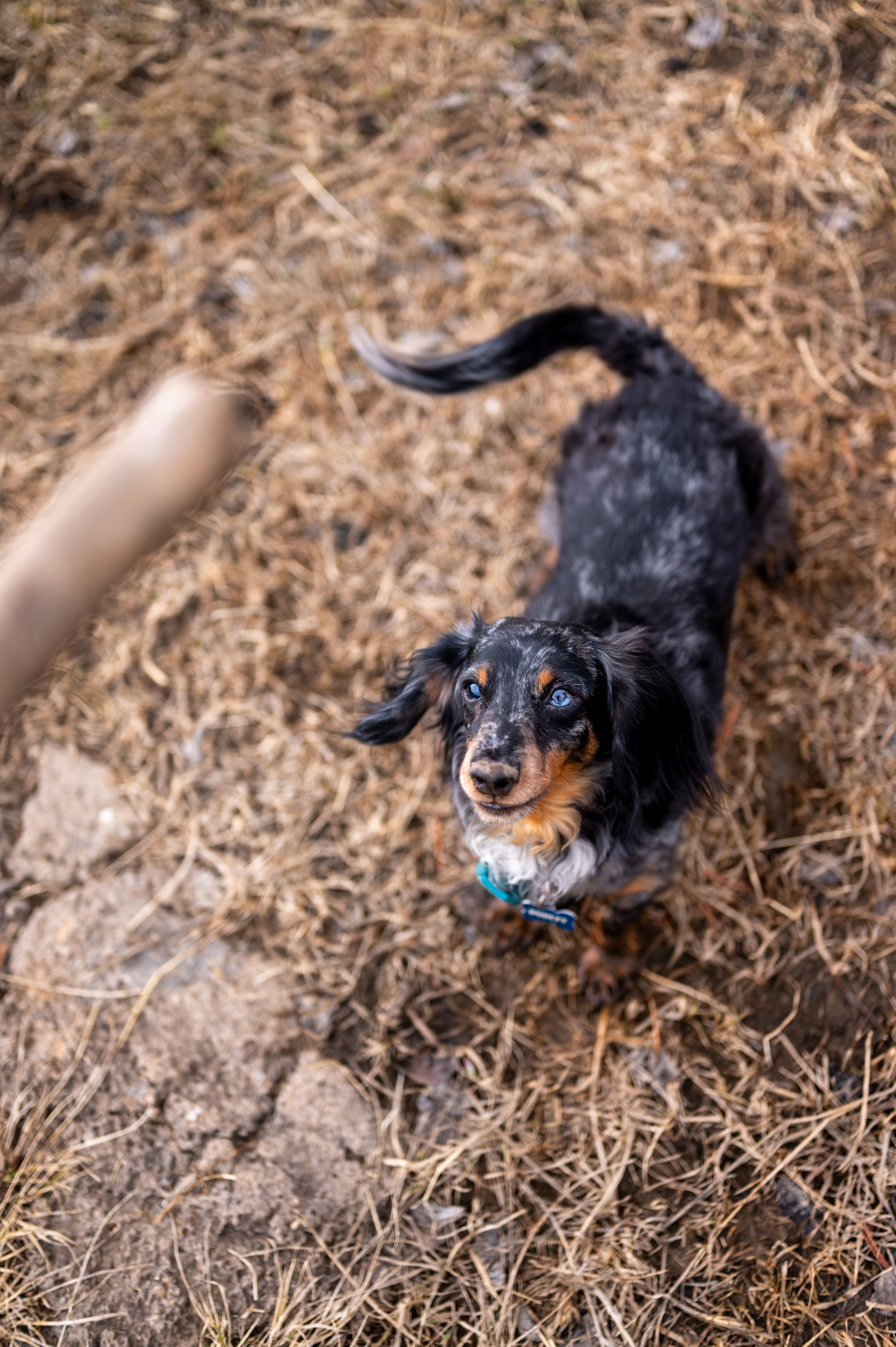 Bark Area Photos, Download The BEST Free Bark Area Stock Photos & HD Images