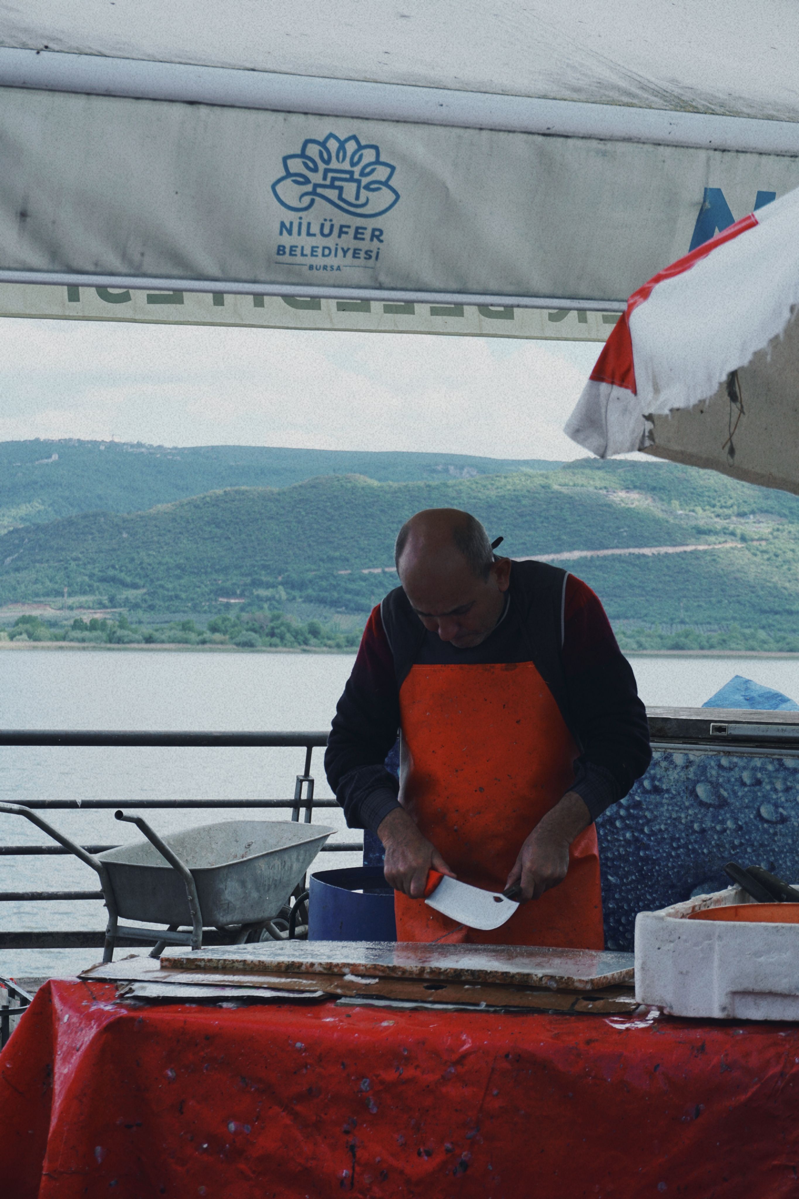 Chefs Working Landscape Photos, Download The BEST Free Chefs Working ...