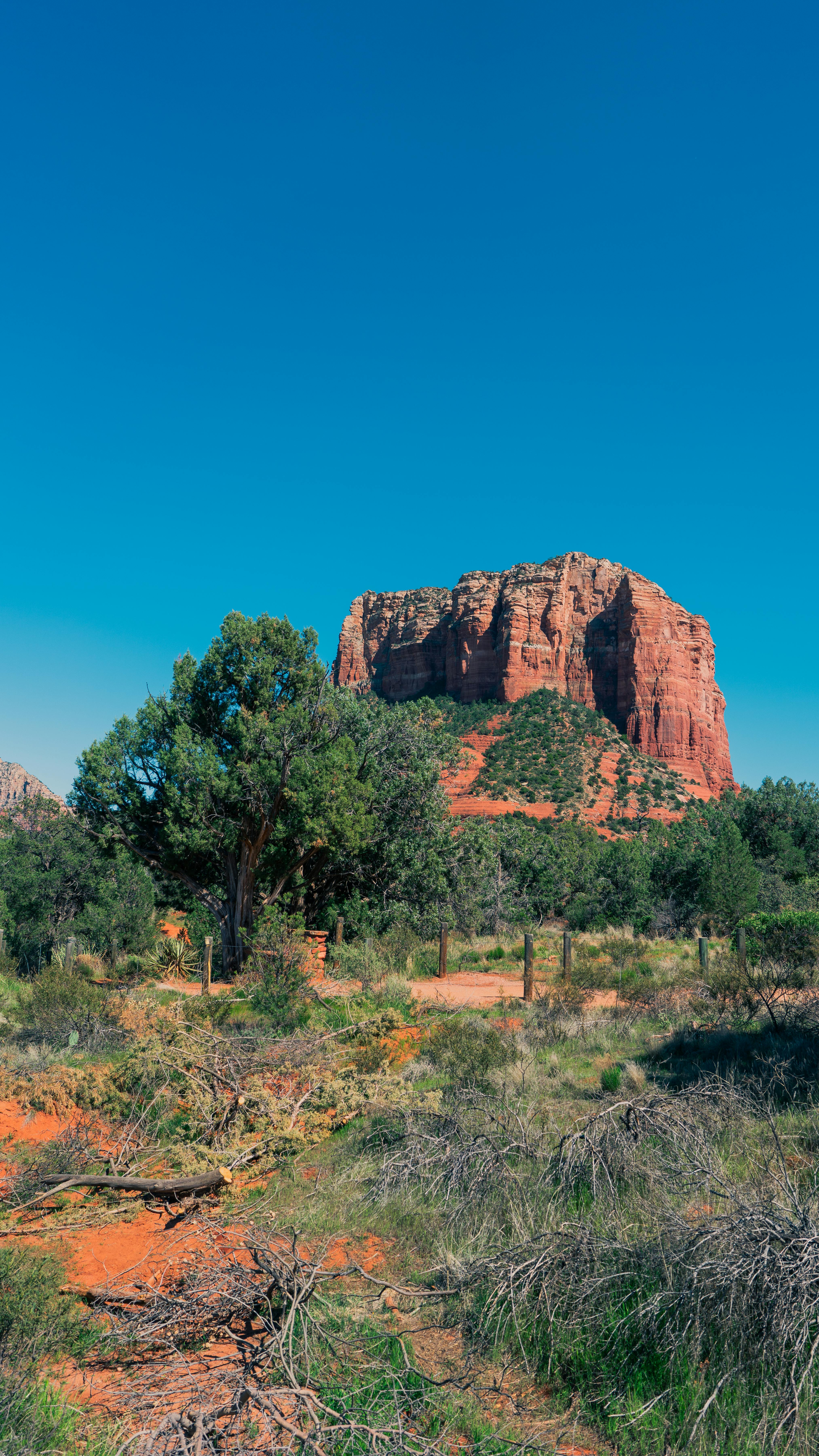 Cottonwood Cove Arizona Photos, Download The BEST Free Cottonwood Cove ...