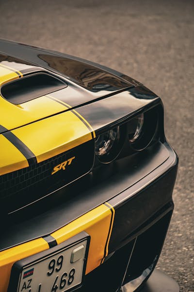 Srt Photos, Download The BEST Free Srt Stock Photos & HD Images