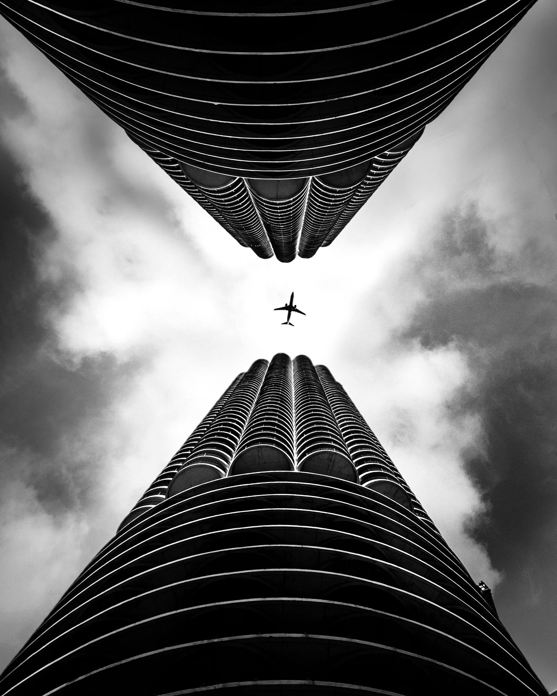 80,000+ Best Worm Eyes View Photos · 100% Free Download · Pexels Stock ...