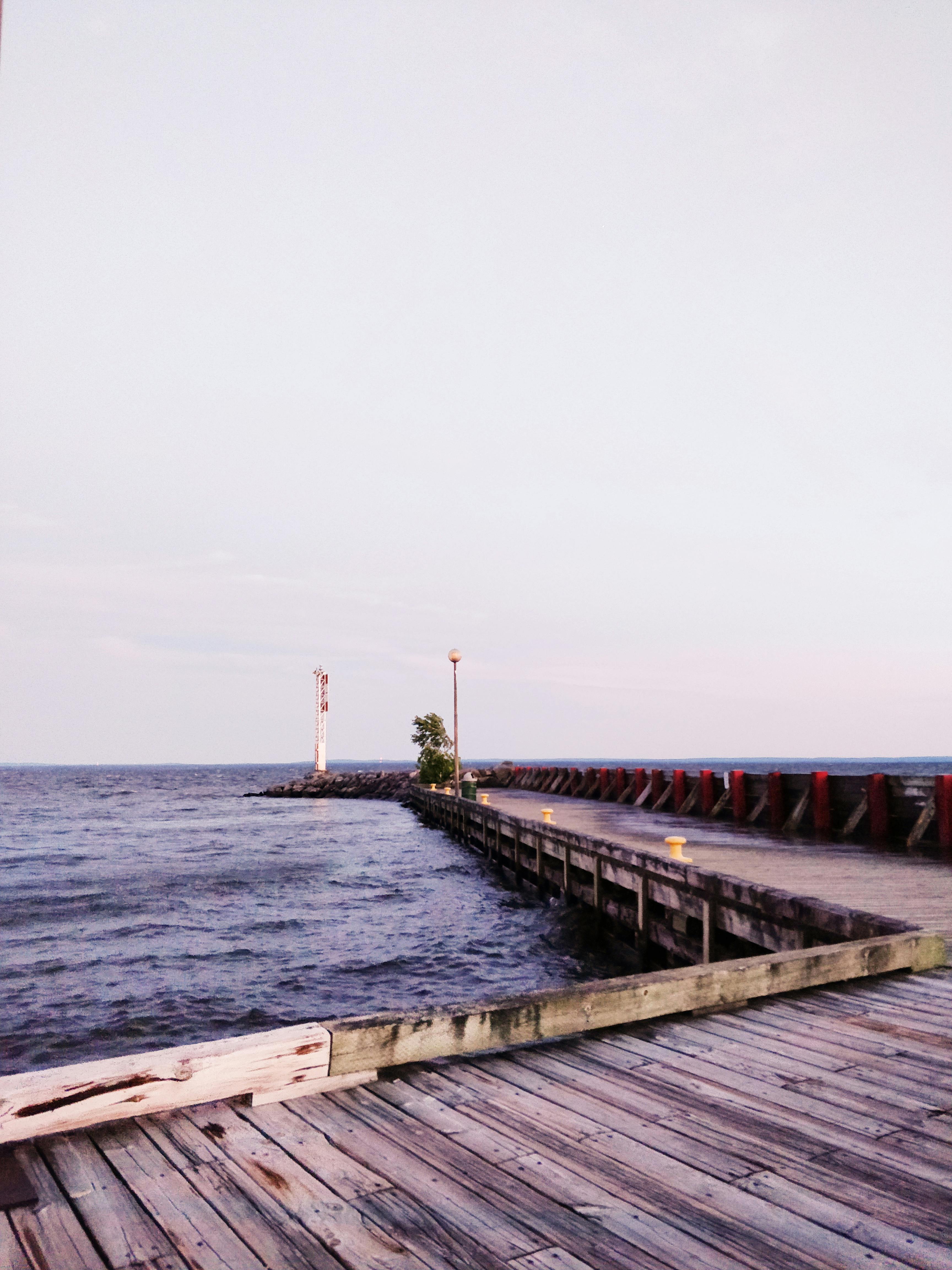 Brown Wooden Dock View · Free Stock Photo