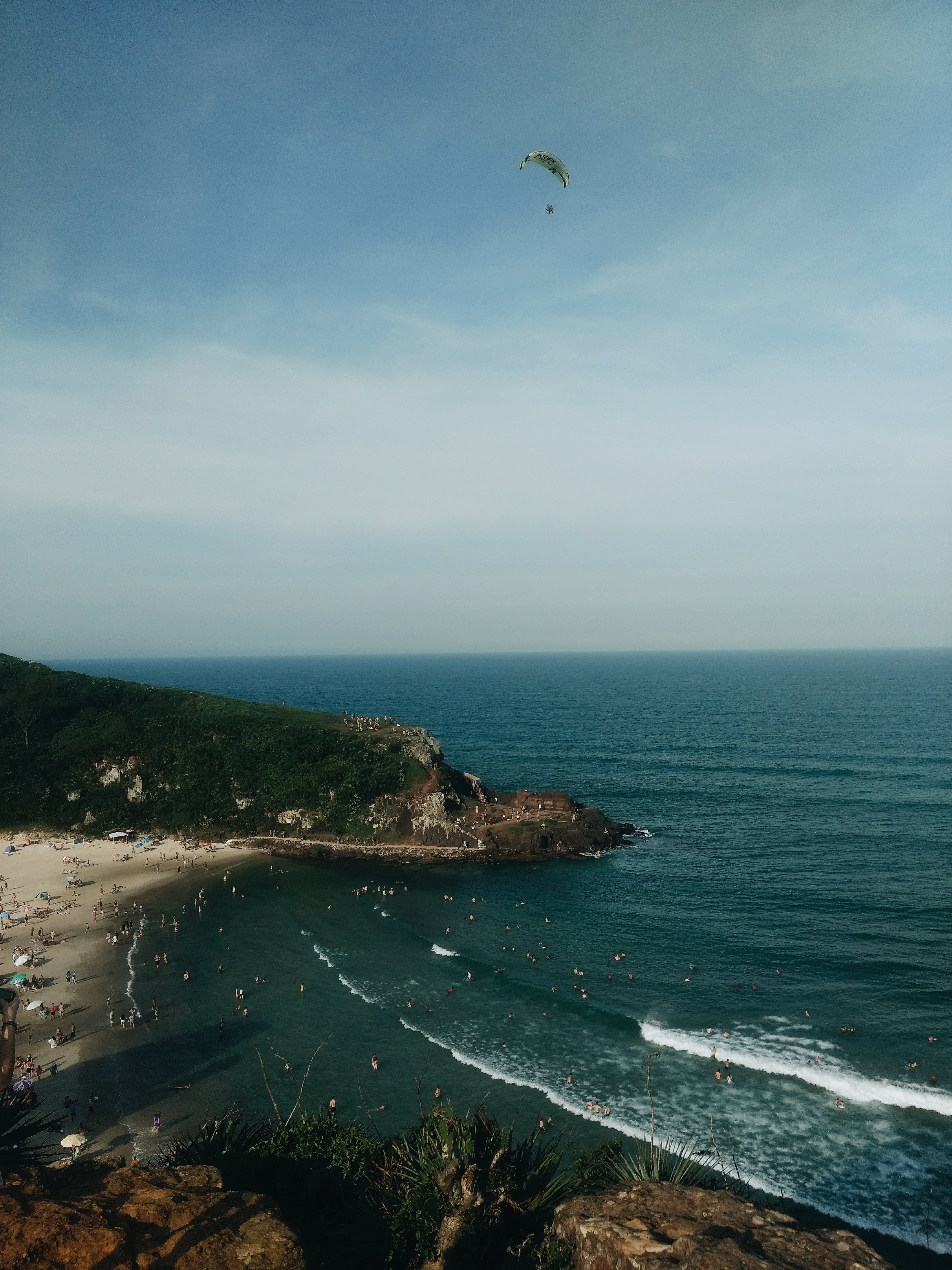 Paraglider above Sandy Beach by Sea Shore · Free Stock Photo