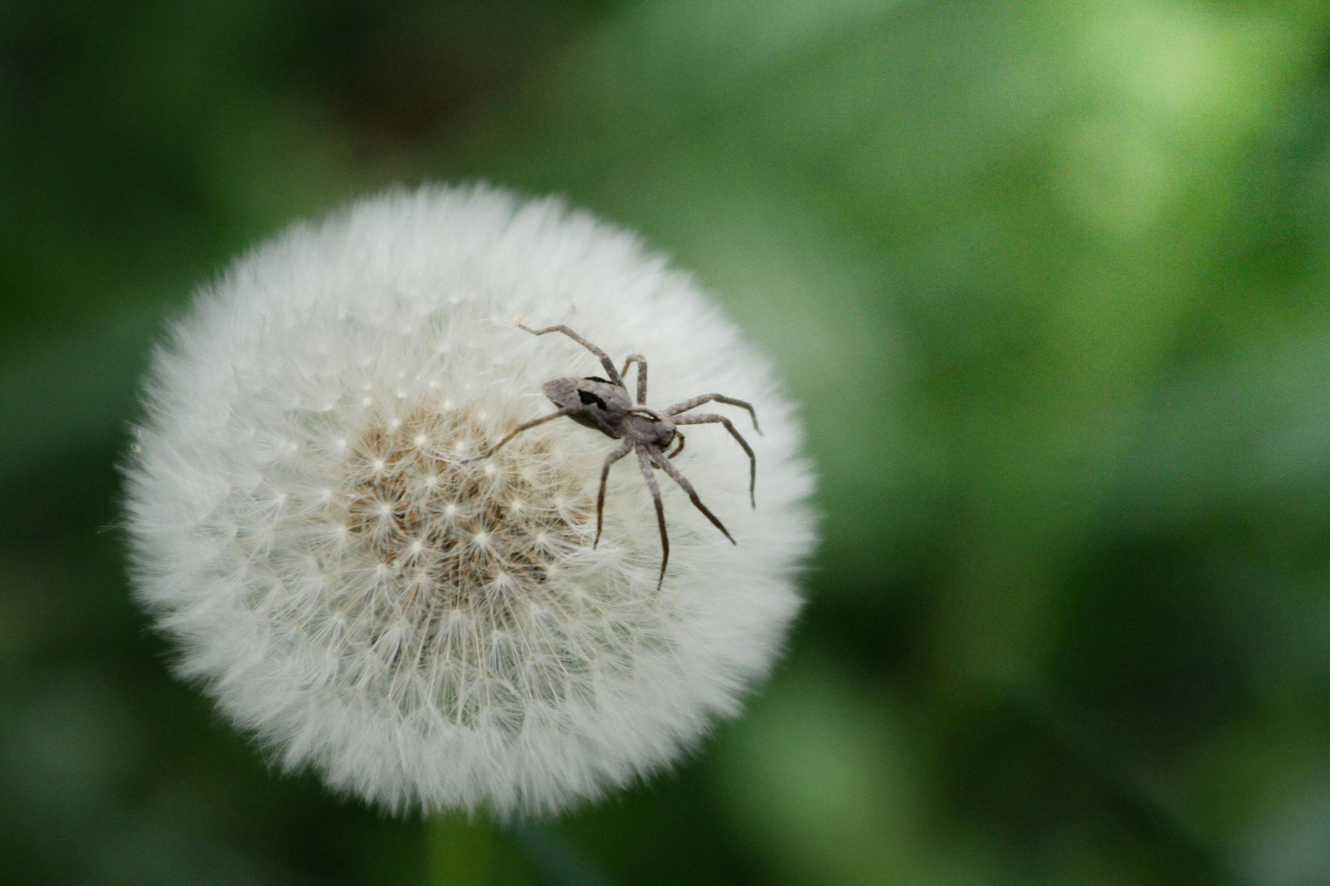 Georgi Kanov - Photography