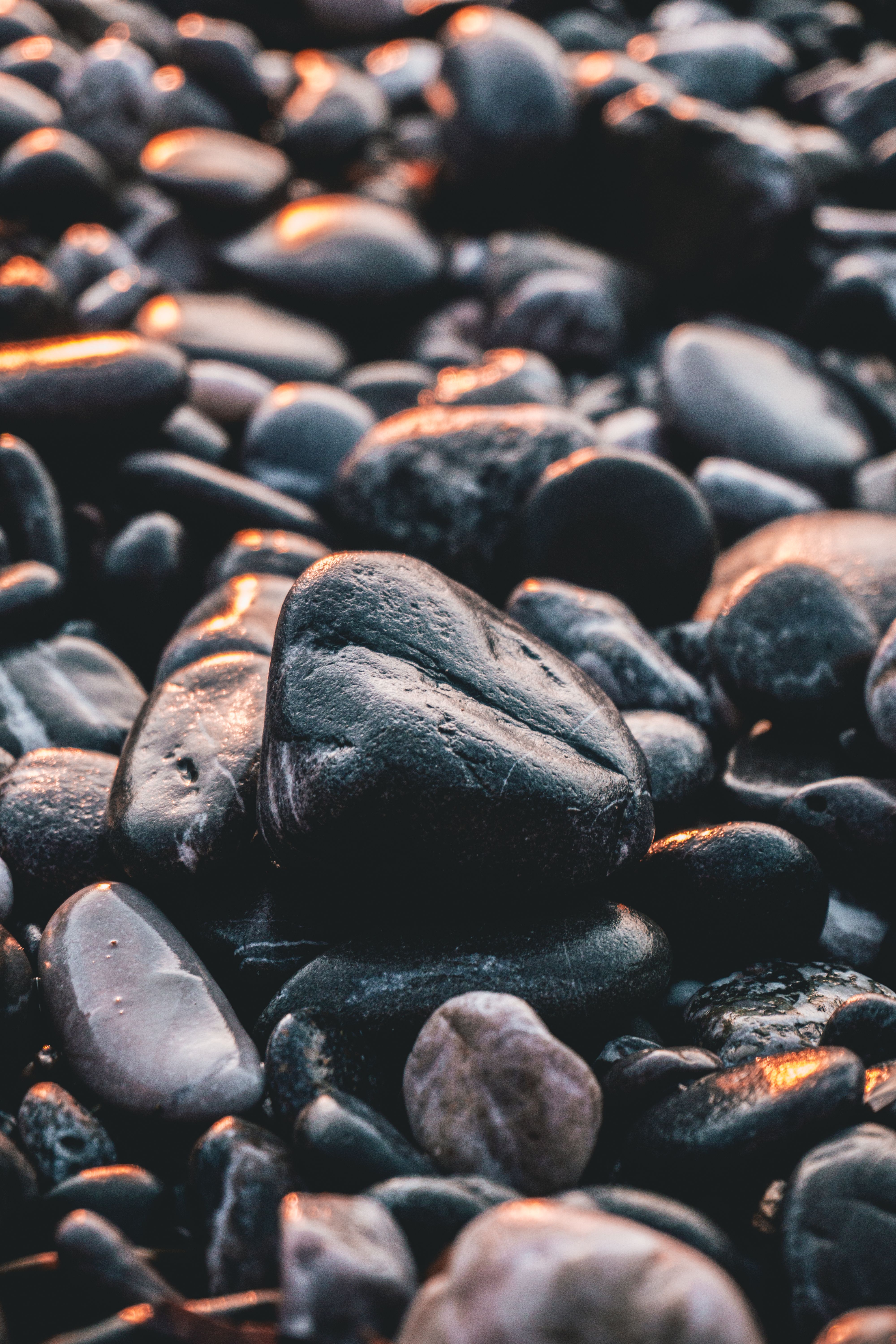 Close-up of Wet, Smooth Rocks on a Beach · Free Stock Photo
