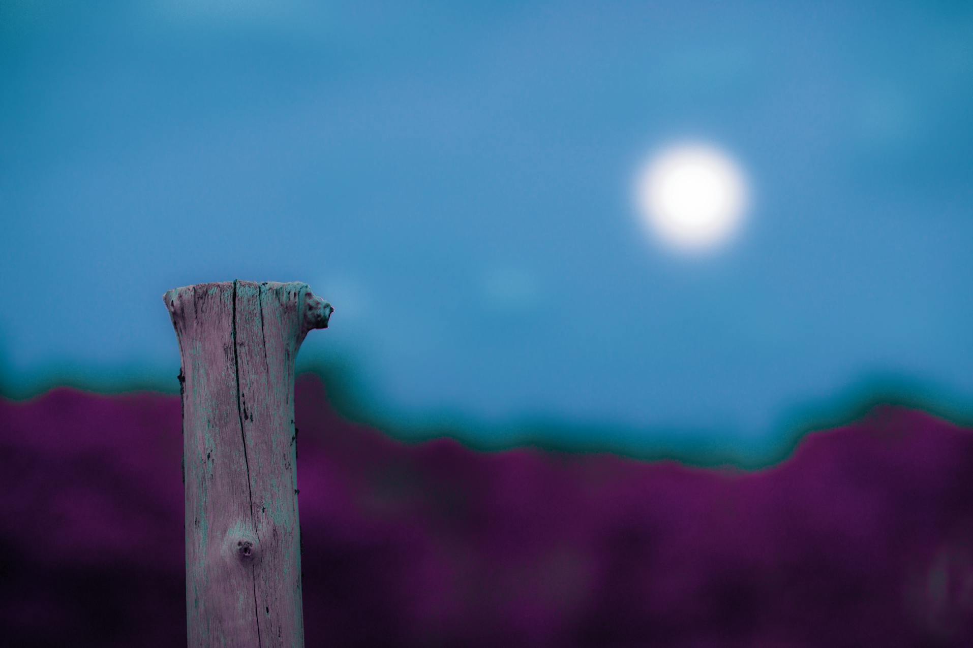 Building with King Post Roof Truss: Design and Construction