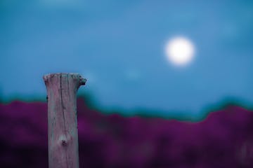 Building with King Post Roof Truss: Design and Construction