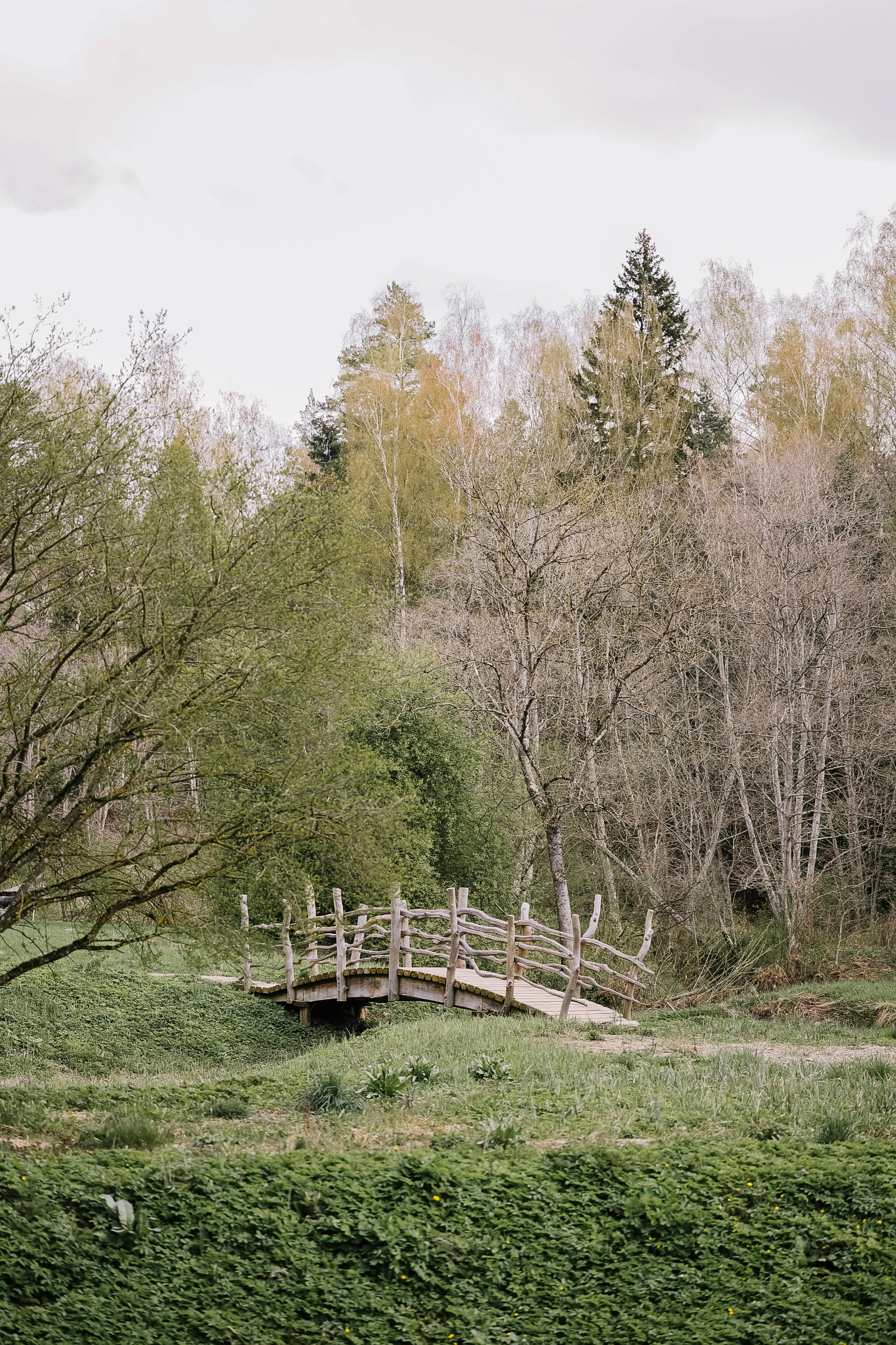 Wooden Footbridge in a Rural Landscape · Free Stock Photo