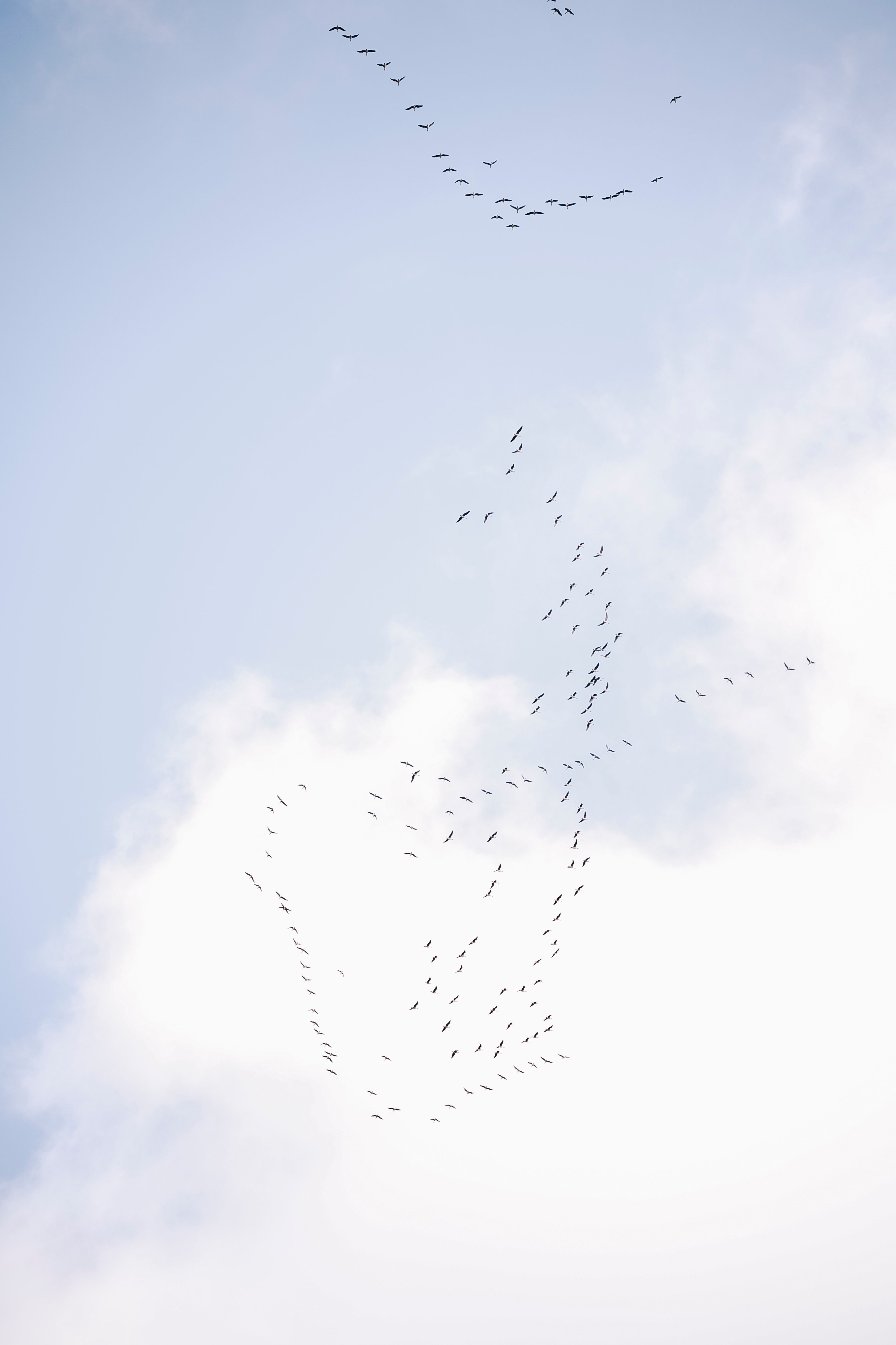 Nature Observations Photos, Download The BEST Free Nature Observations ...