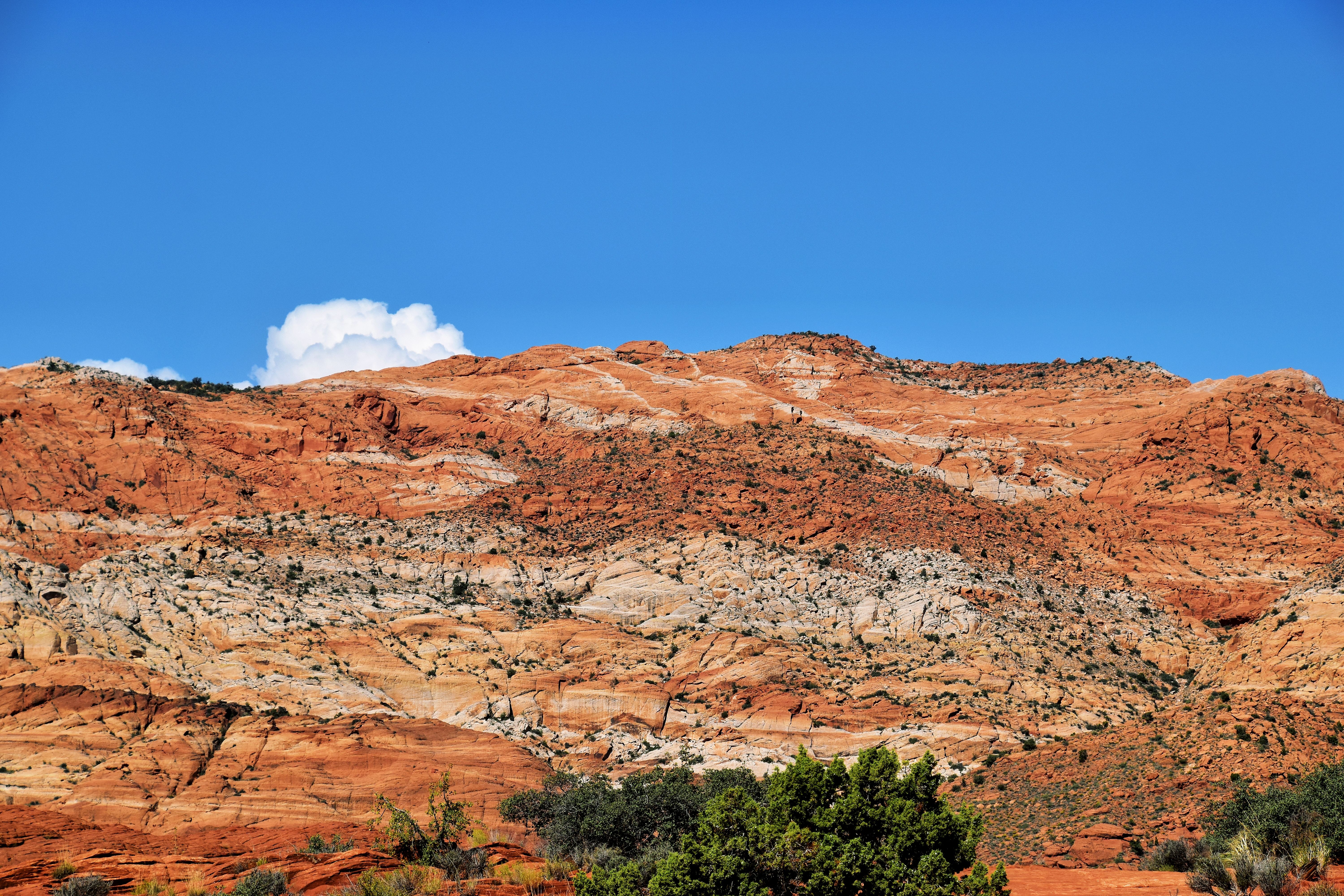 Arid Rocks on Hill in Canyon · Free Stock Photo