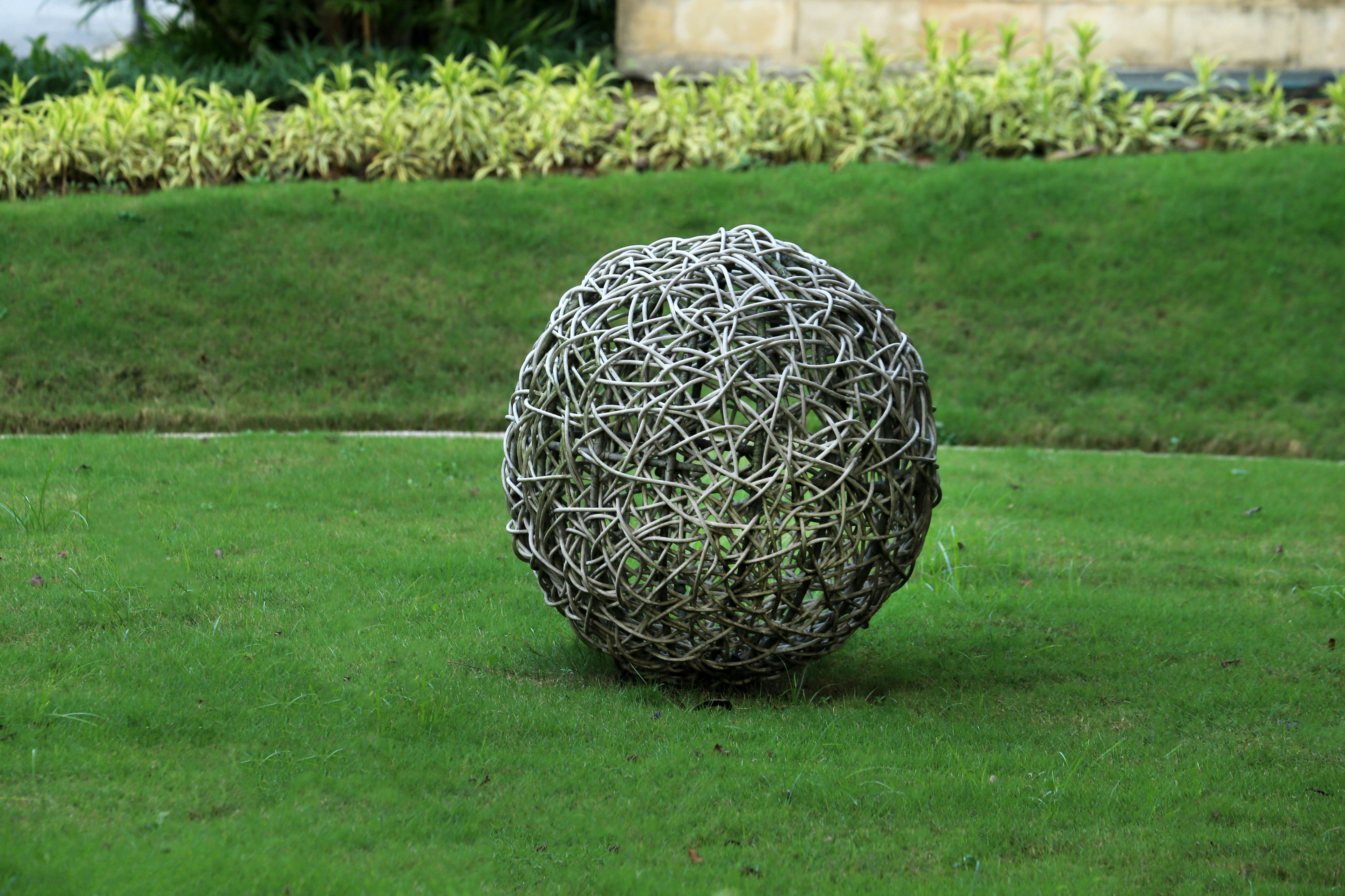 A Ball Made of Twigs on the Grass · Free Stock Photo