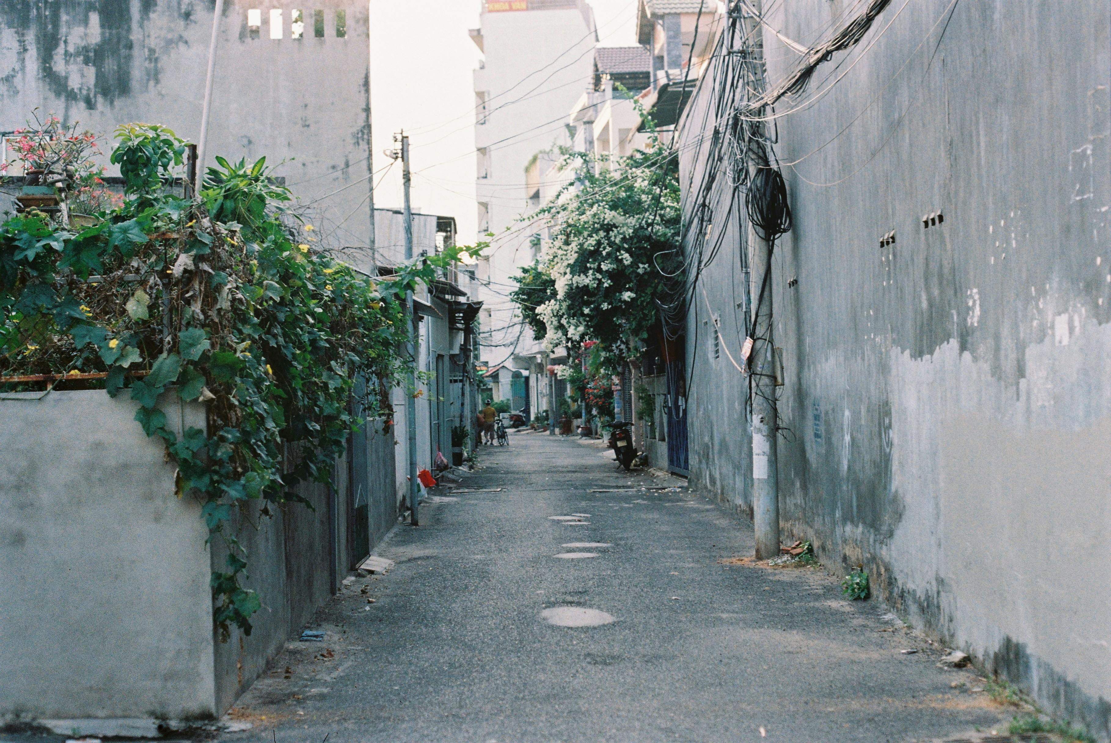 Plants and Walls in Alley in City · Free Stock Photo