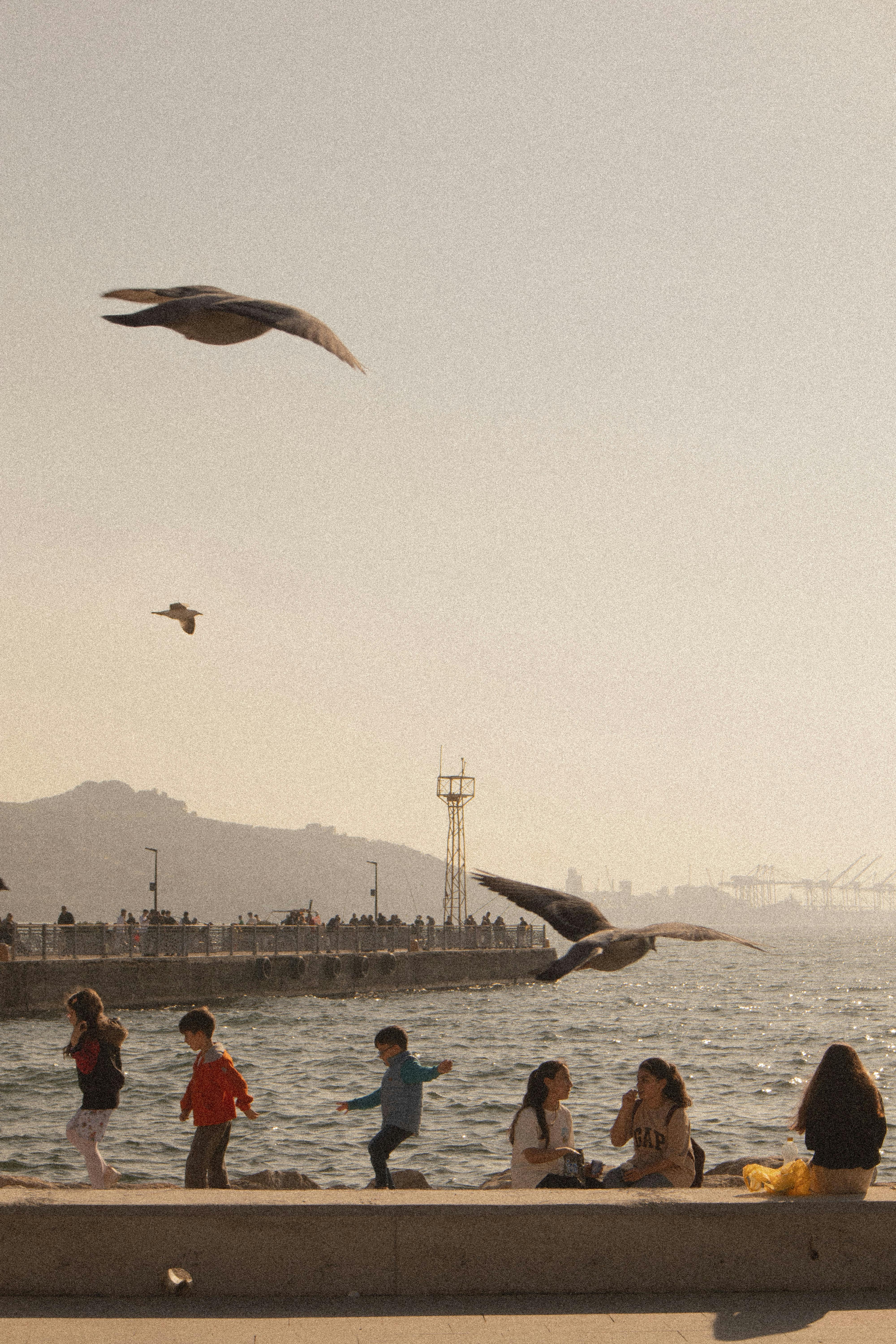 Flying Mat Photos, Download The BEST Free Flying Mat Stock Photos & HD ...