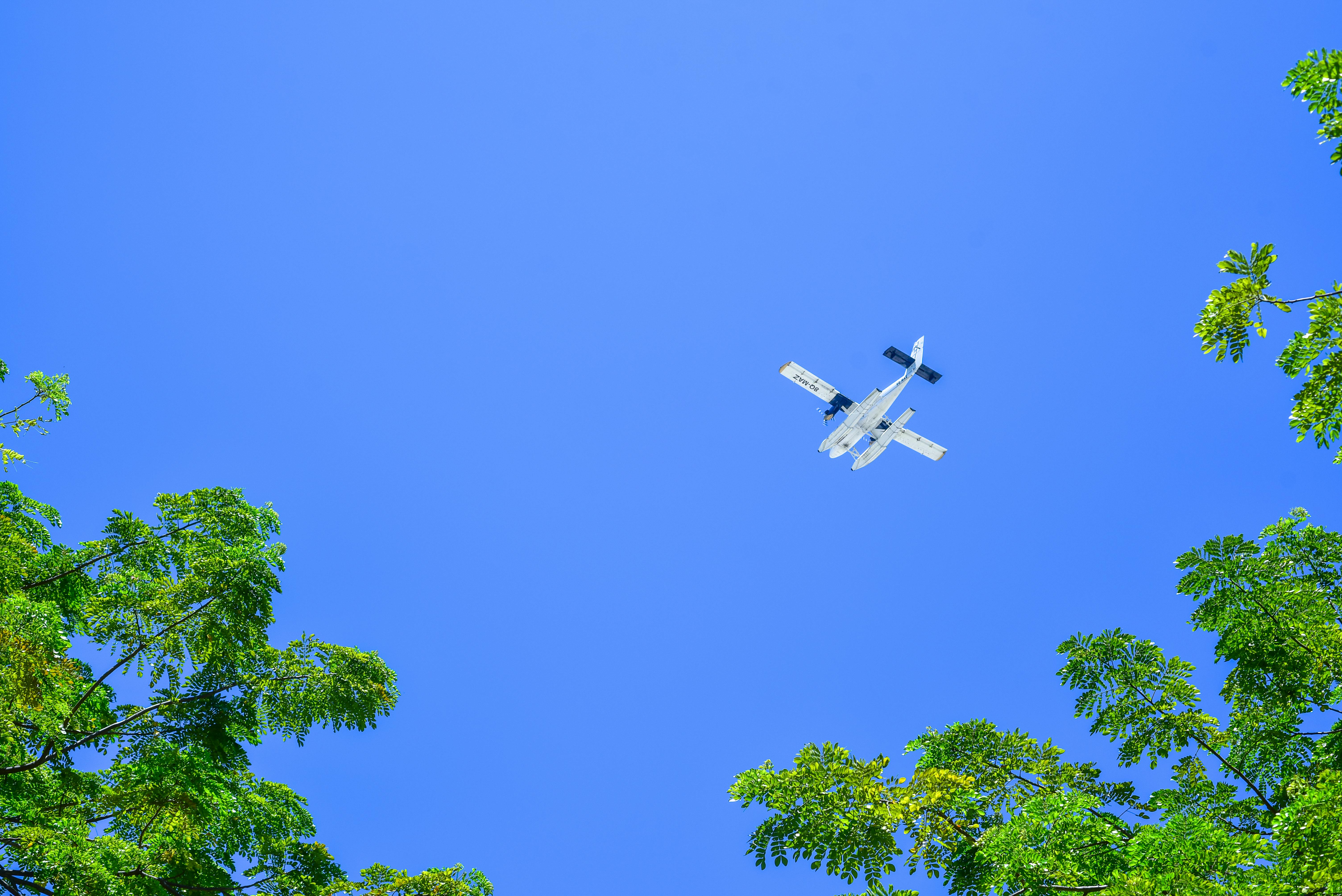 Airplane over Trees · Free Stock Photo