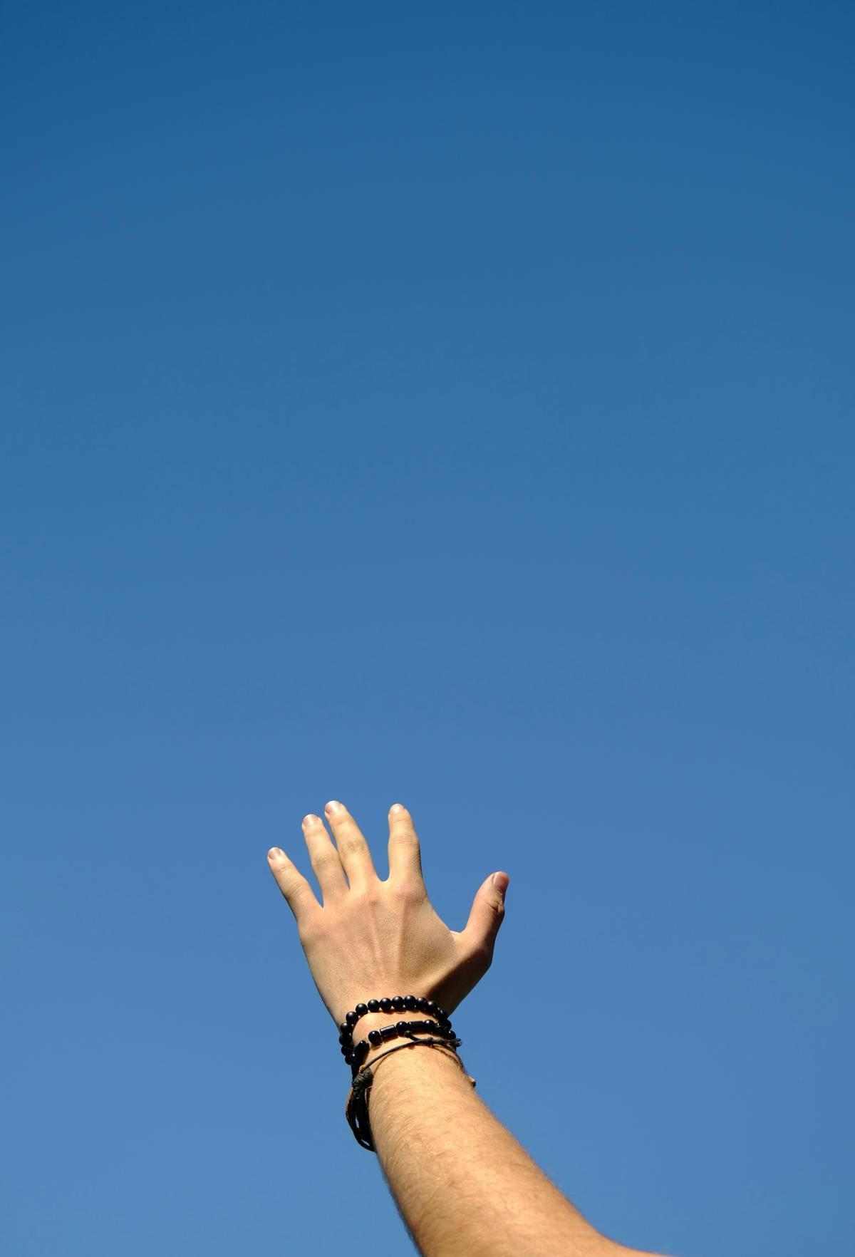 Blue Wren Photos, Download The BEST Free Blue Wren Stock Photos & HD Images