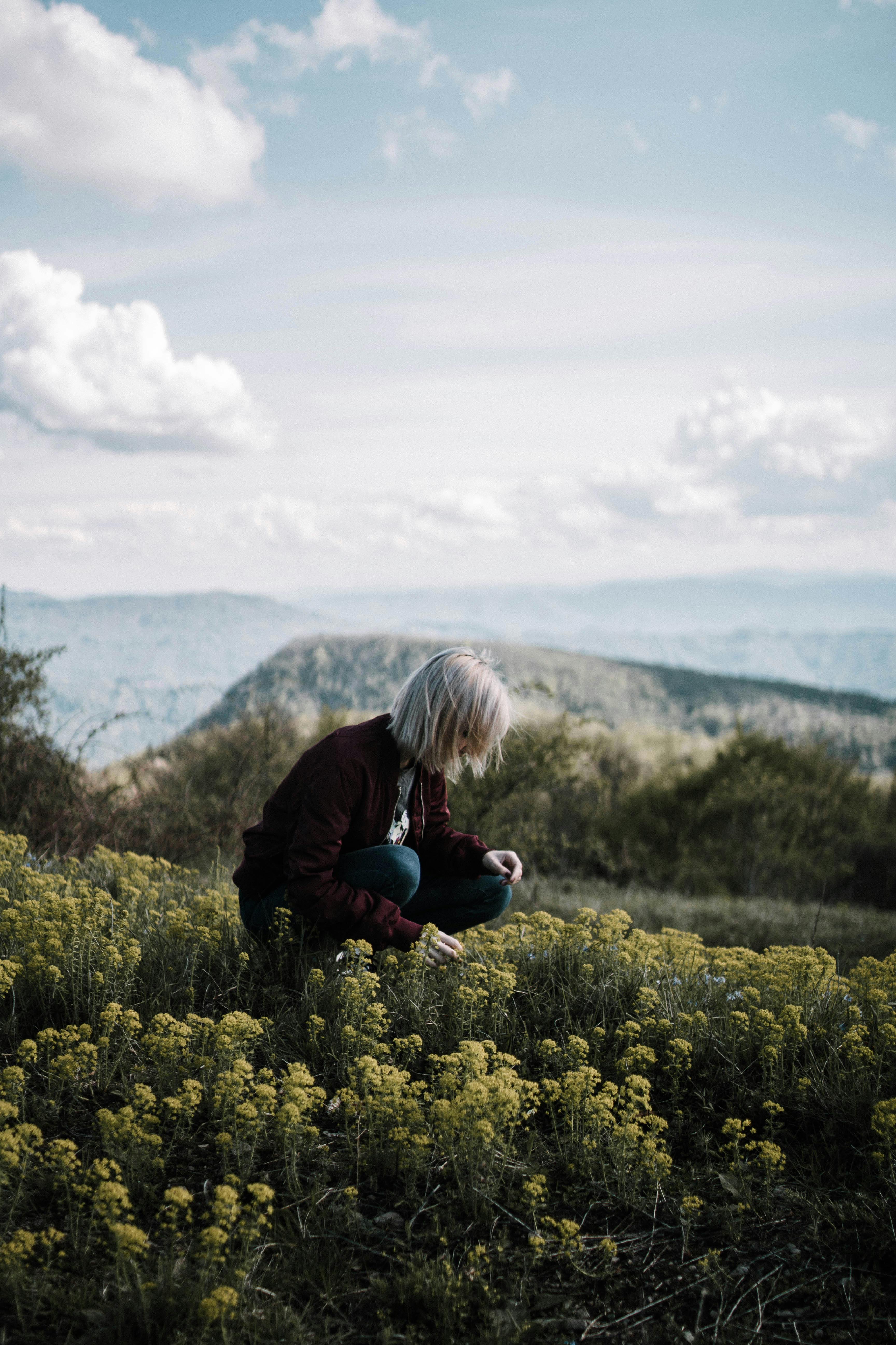1000+ Amazing Beautiful Scenery Photos · Pexels · Free Stock Photos
