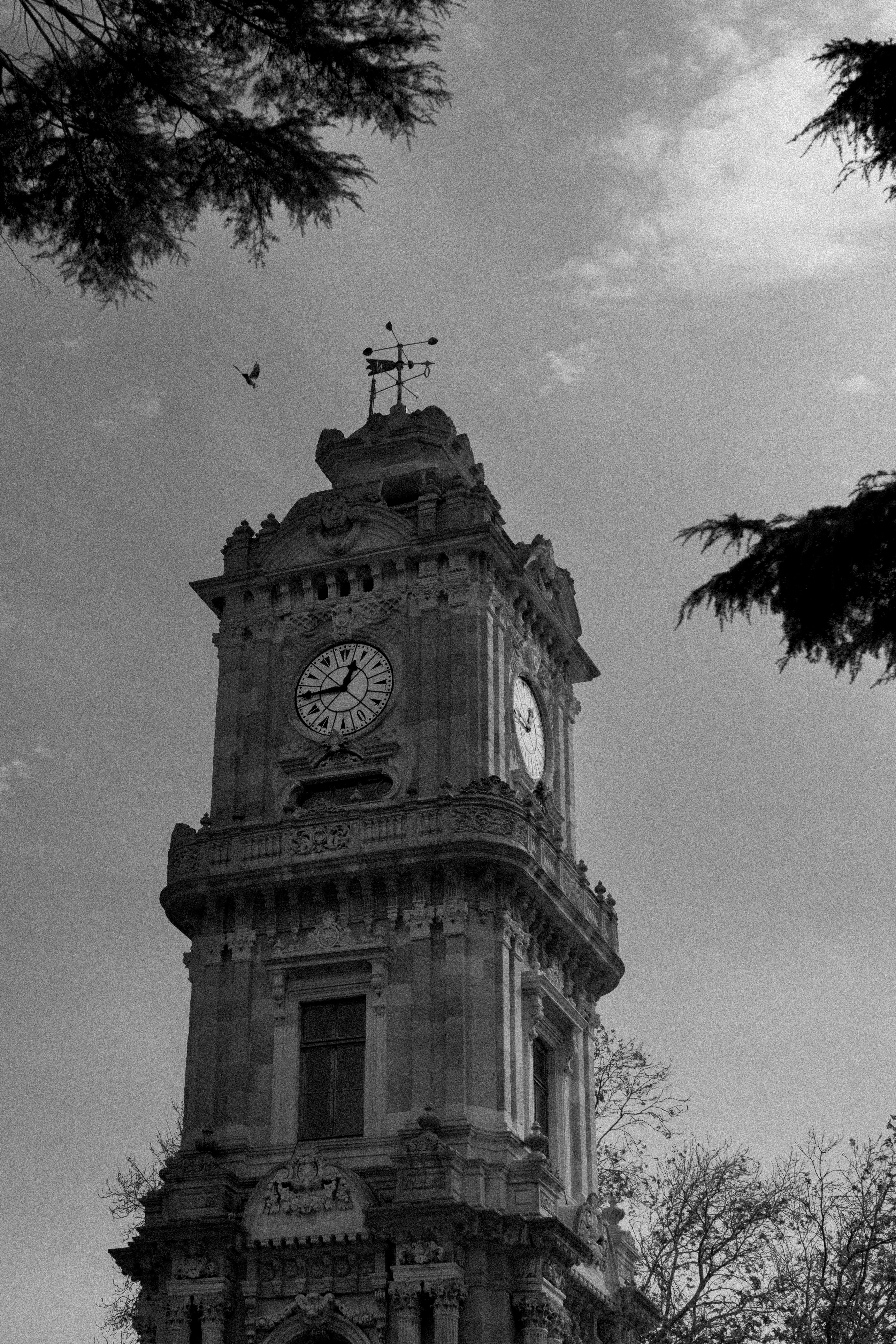 Clock Tower Homs Photos, Download The BEST Free Clock Tower Homs Stock ...