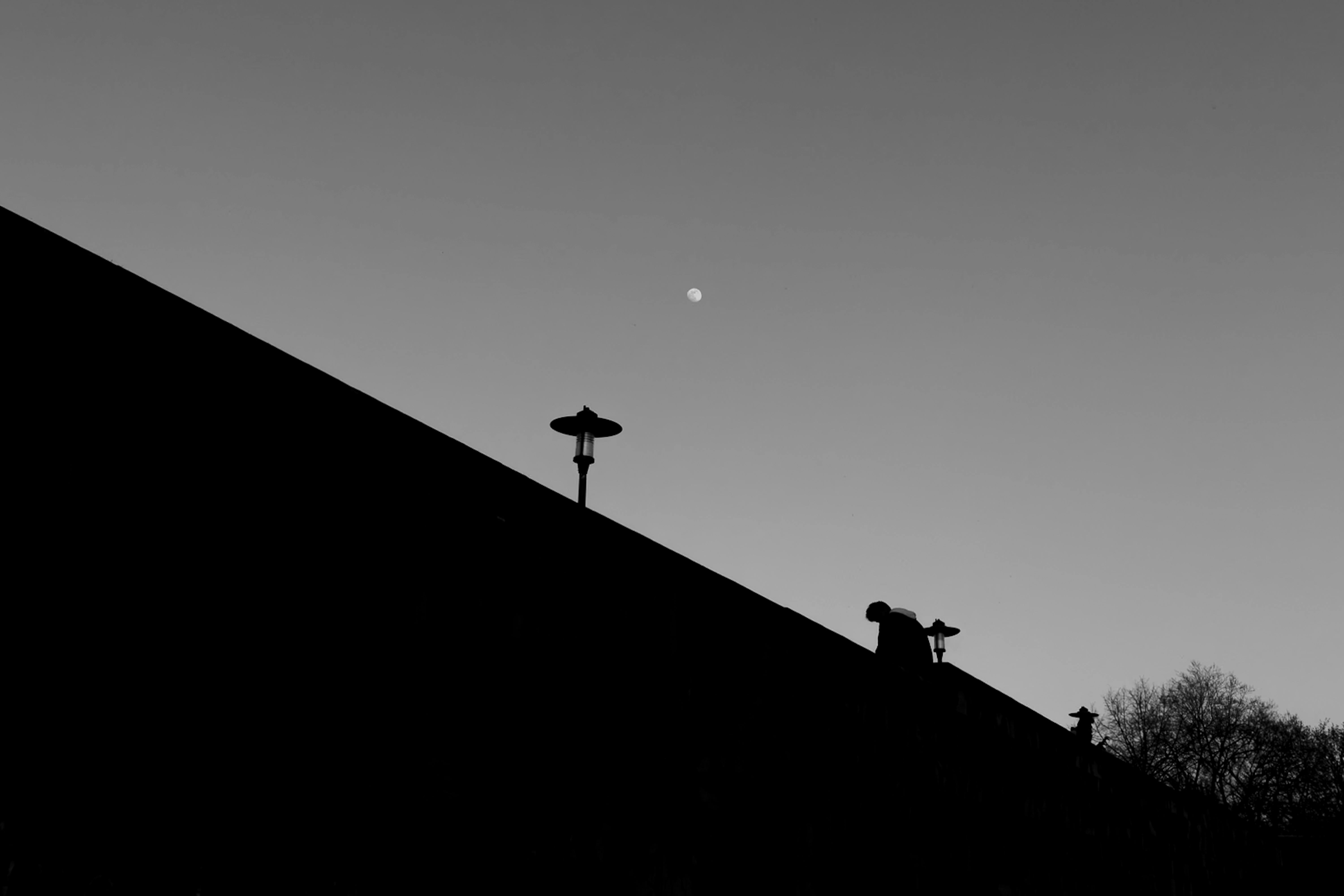 Max Schorr - Photographie