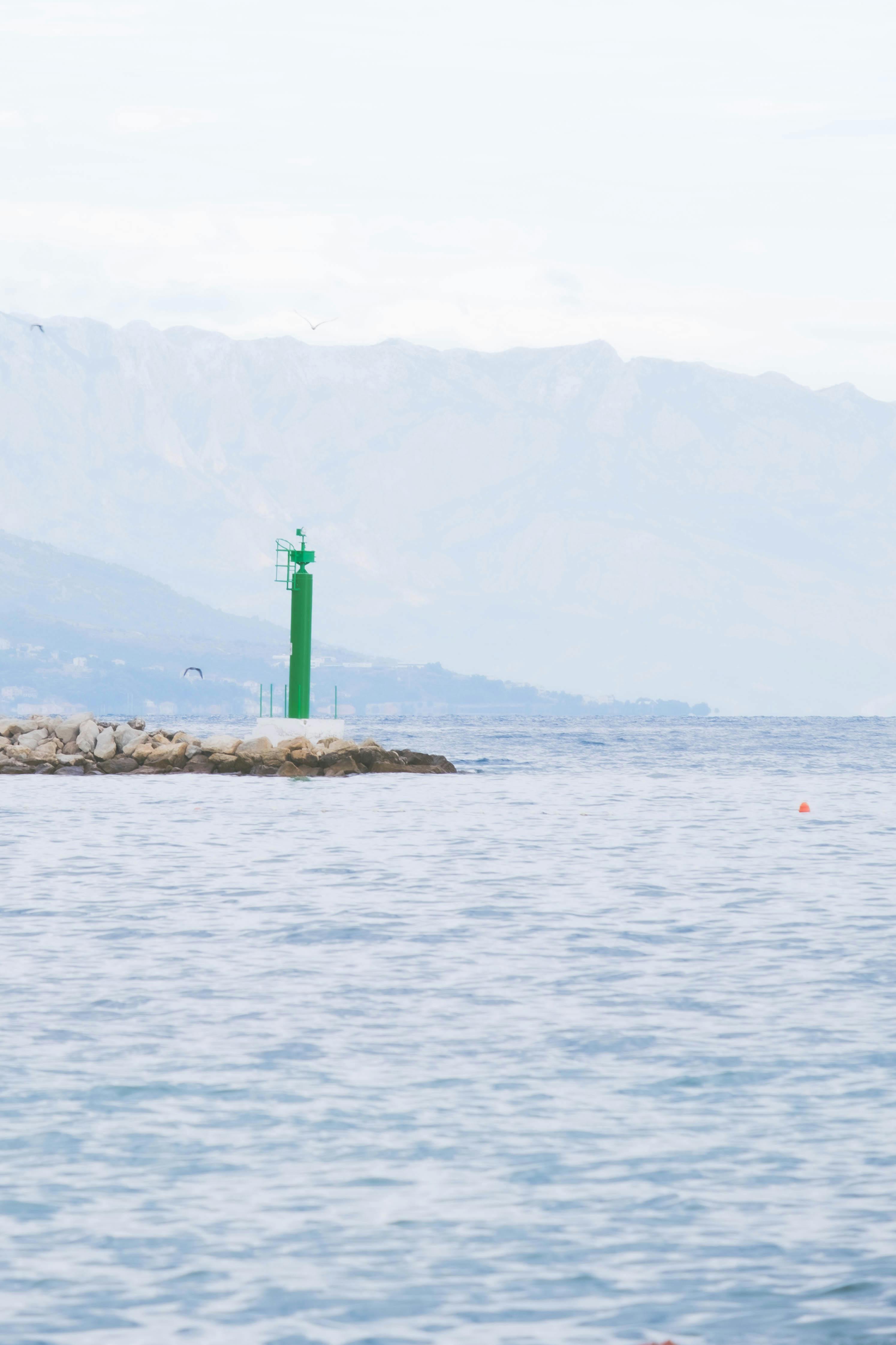 Color: Green Photos, Download The BEST Free Color: Green Stock Photos ...