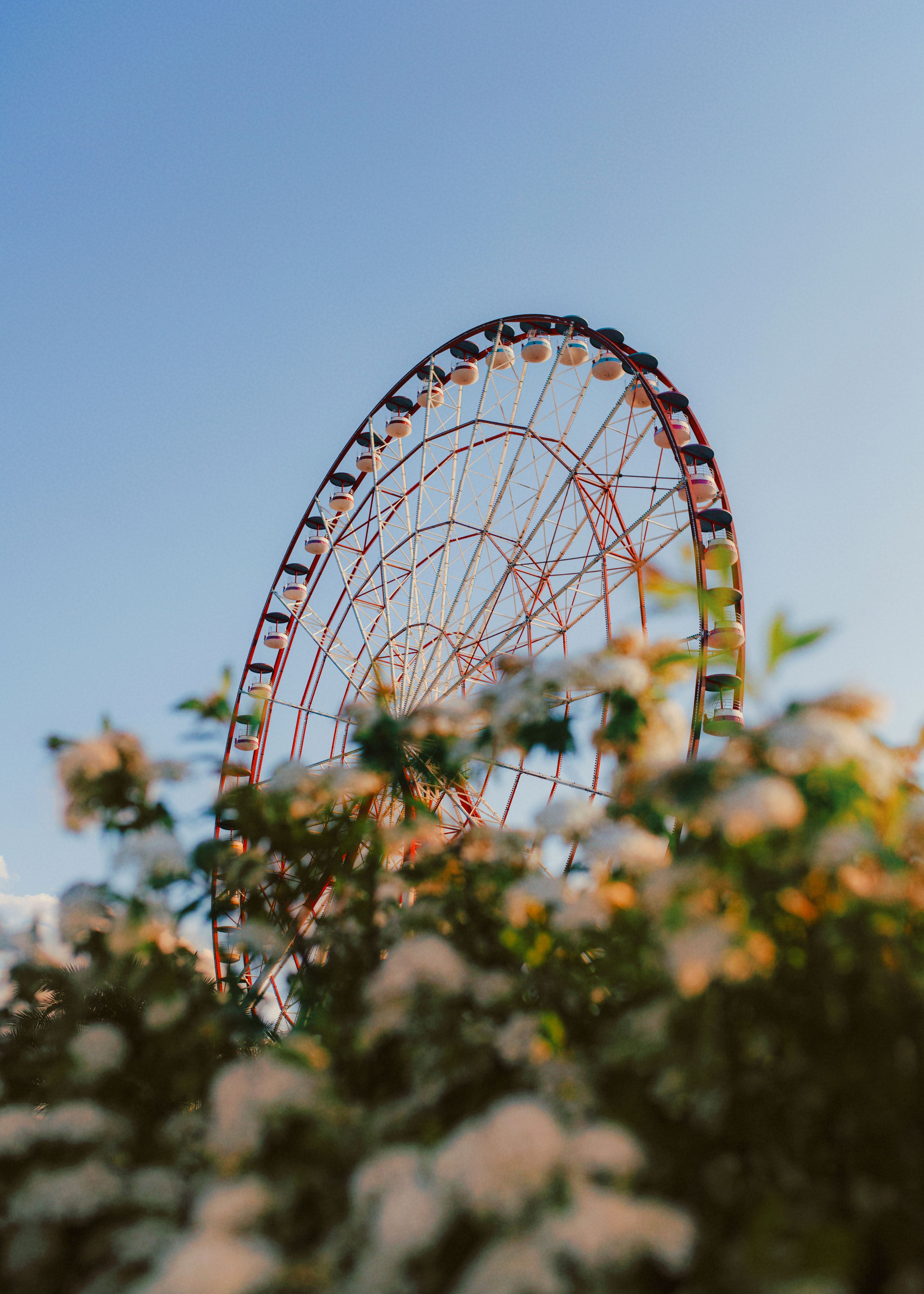 Ferris Wheel Spring Photos, Download The BEST Free Ferris Wheel Spring ...