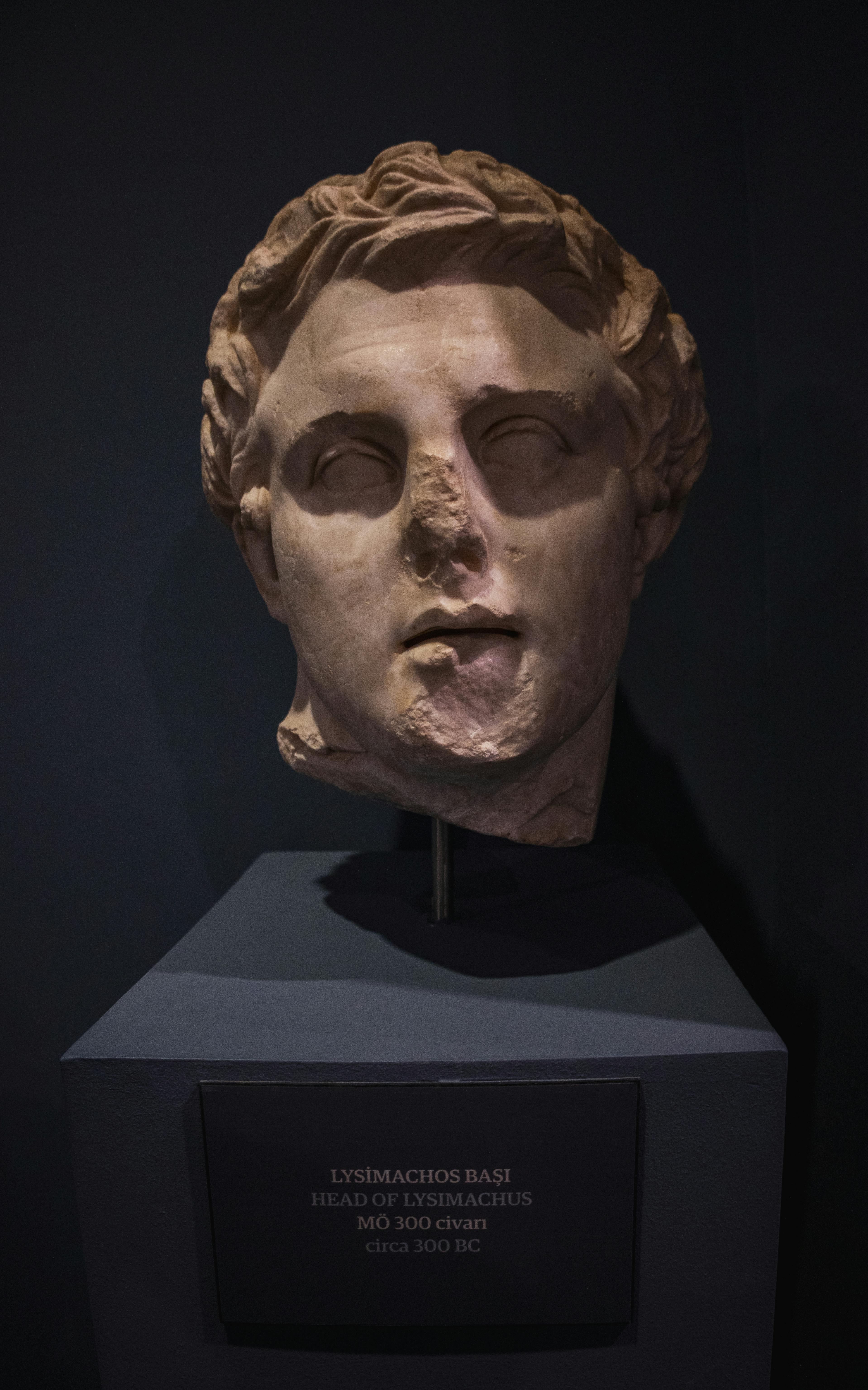 Bust of Lysimachus · Free Stock Photo