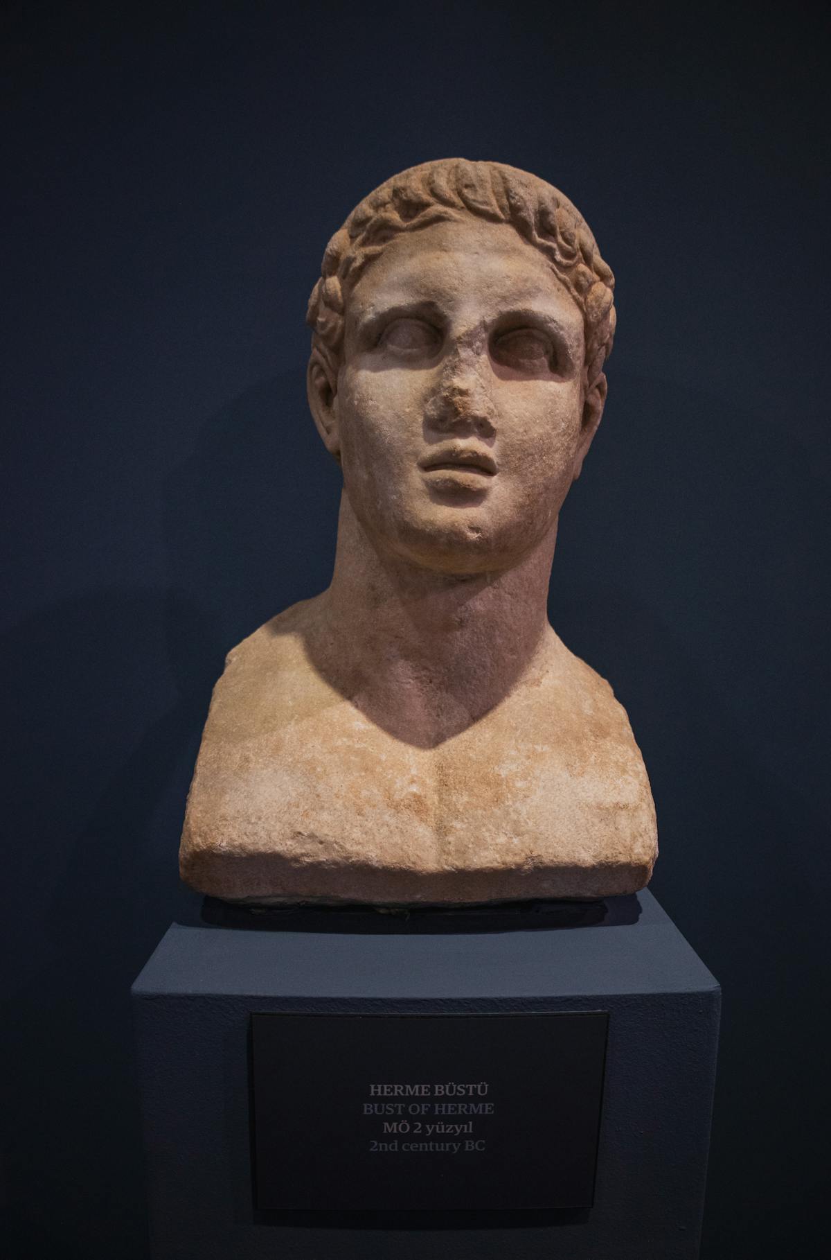 Museum Conservator Photos, Download The BEST Free Museum Conservator ...