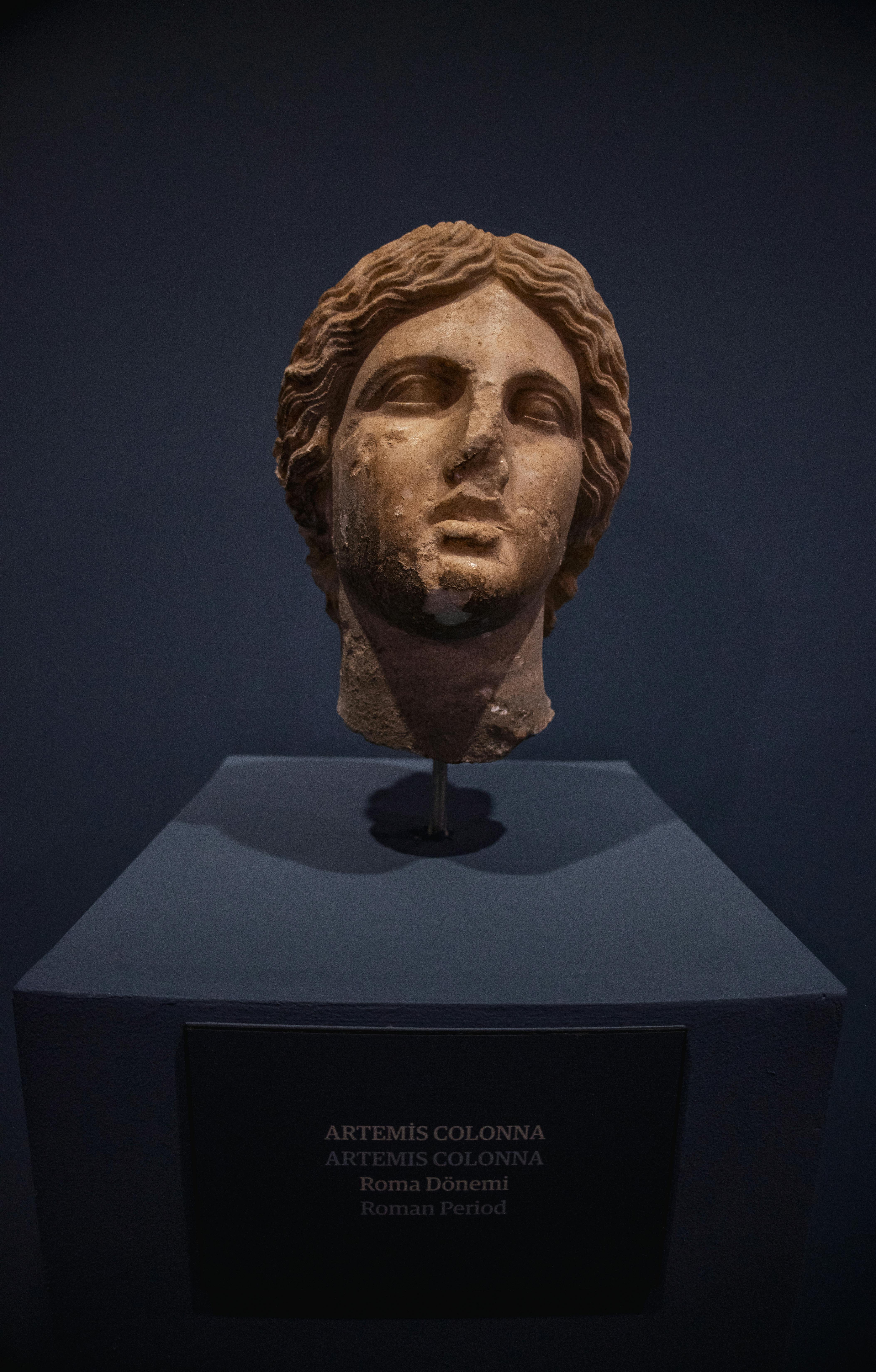 A bust of a man on display in a museum · Free Stock Photo