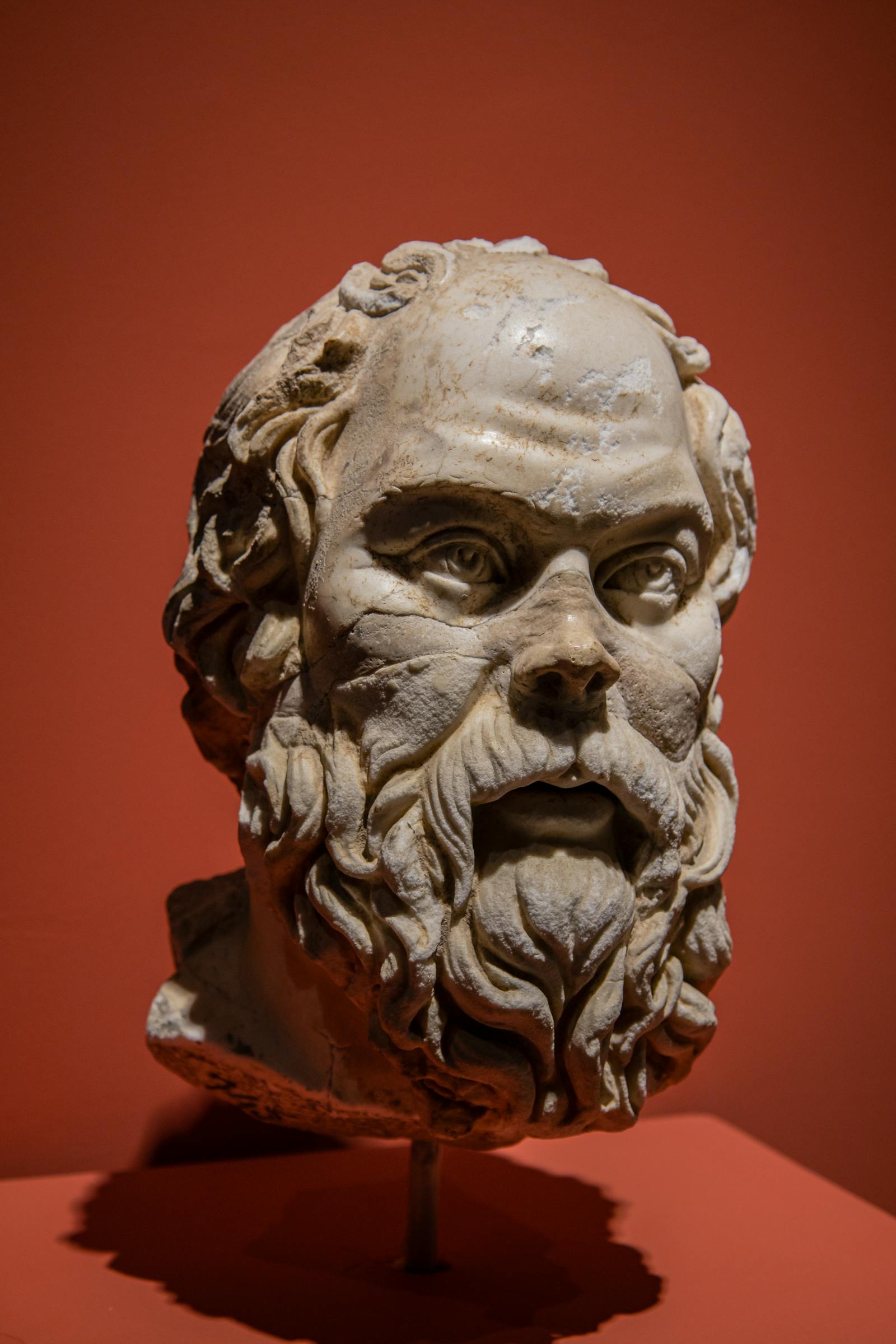 Socrates Photos, Download The BEST Free Socrates Stock Photos & HD Images
