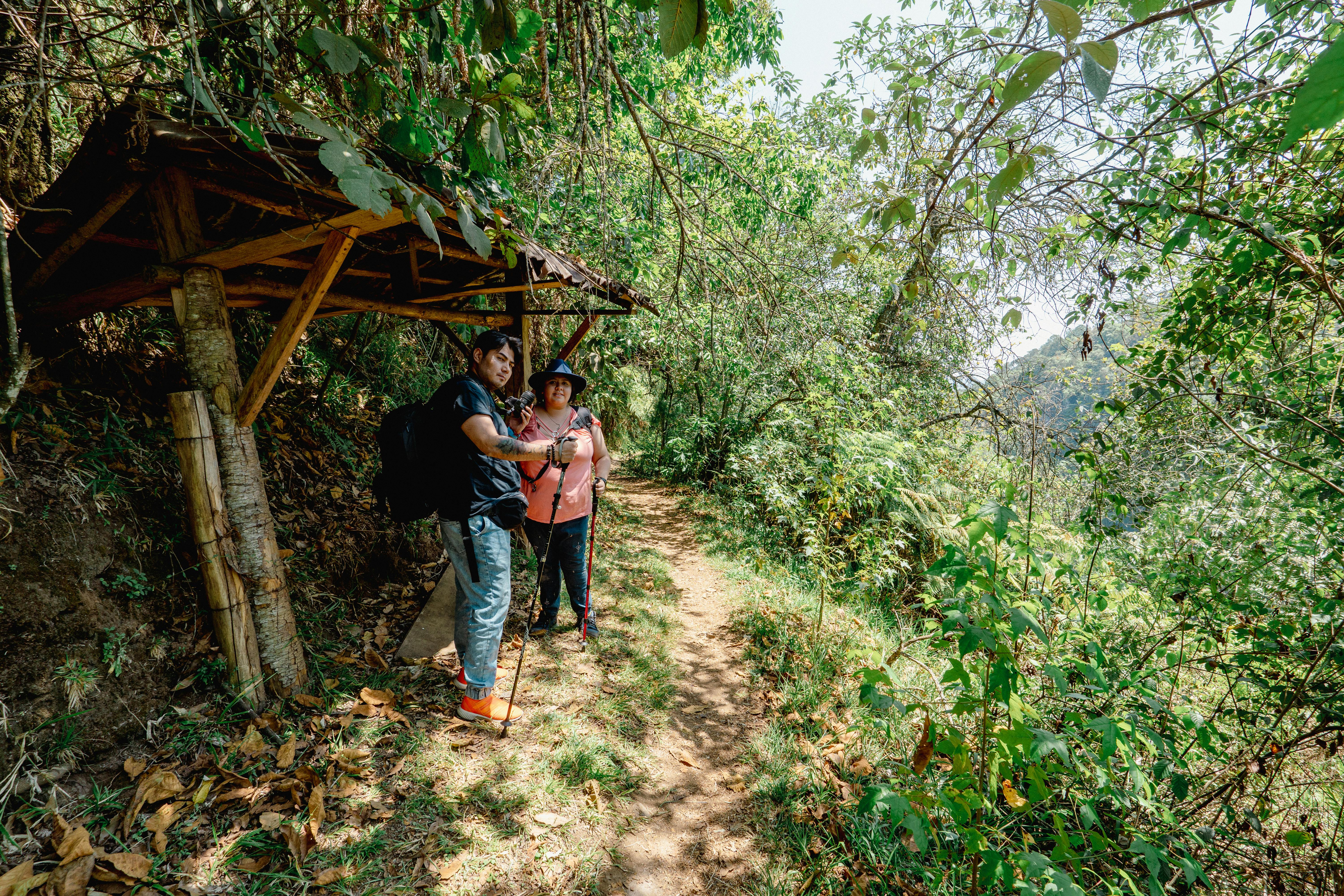 Hitch Hiking Photos, Download The BEST Free Hitch Hiking Stock Photos ...