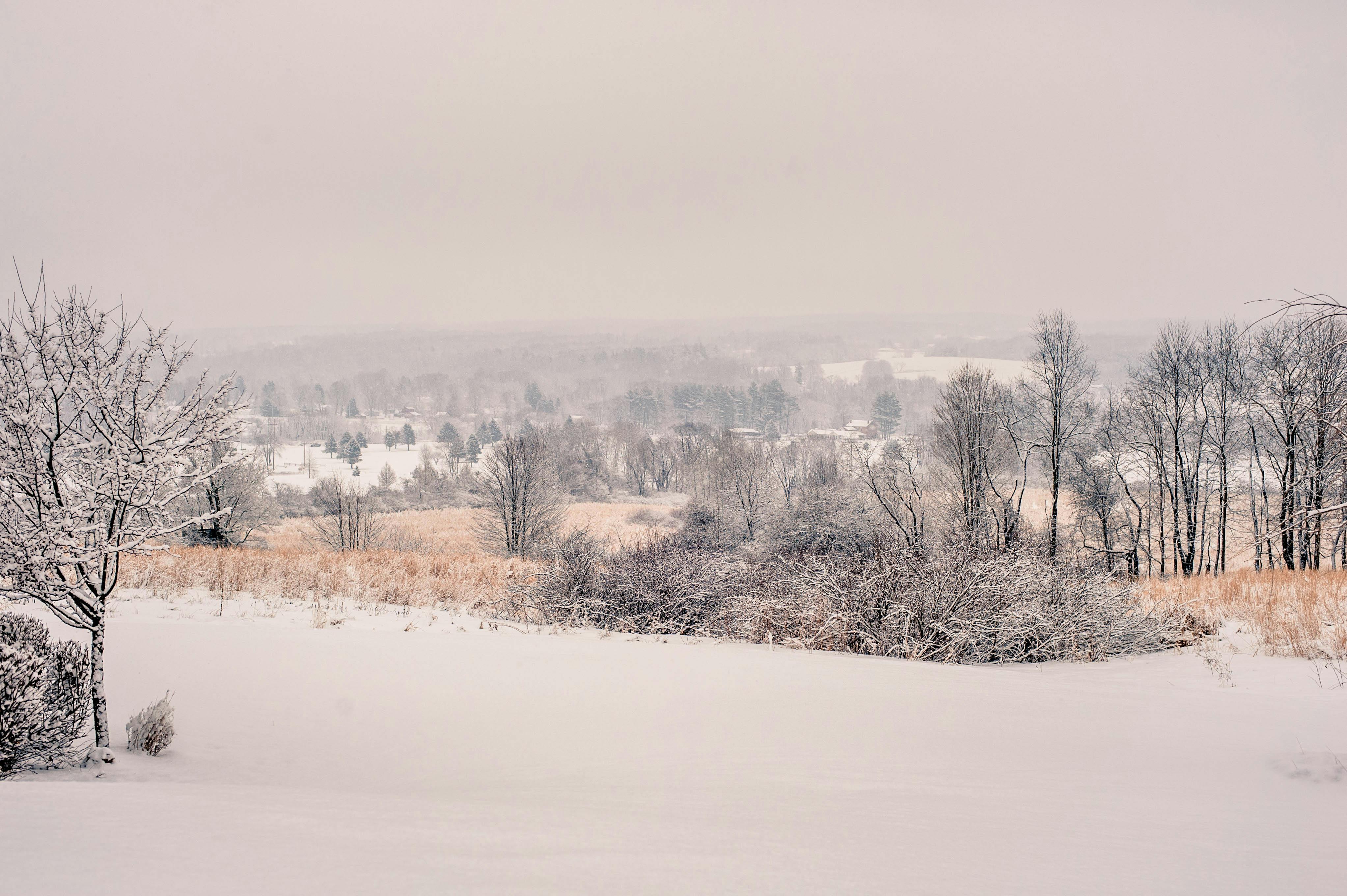 Free stock photo of cold, gray, snow