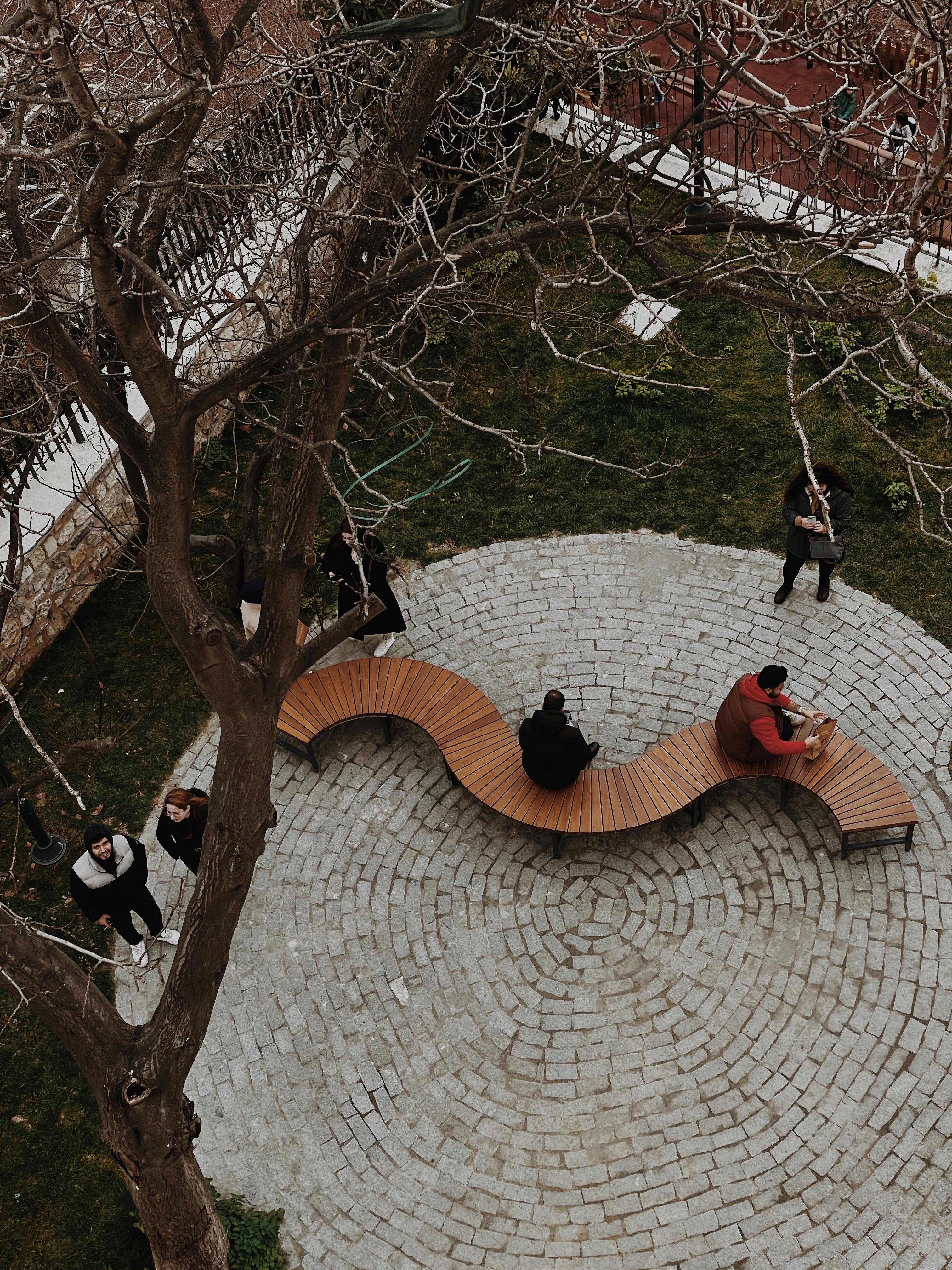 Top View of Twisted Bench on a Square with Trees · Free Stock Photo
