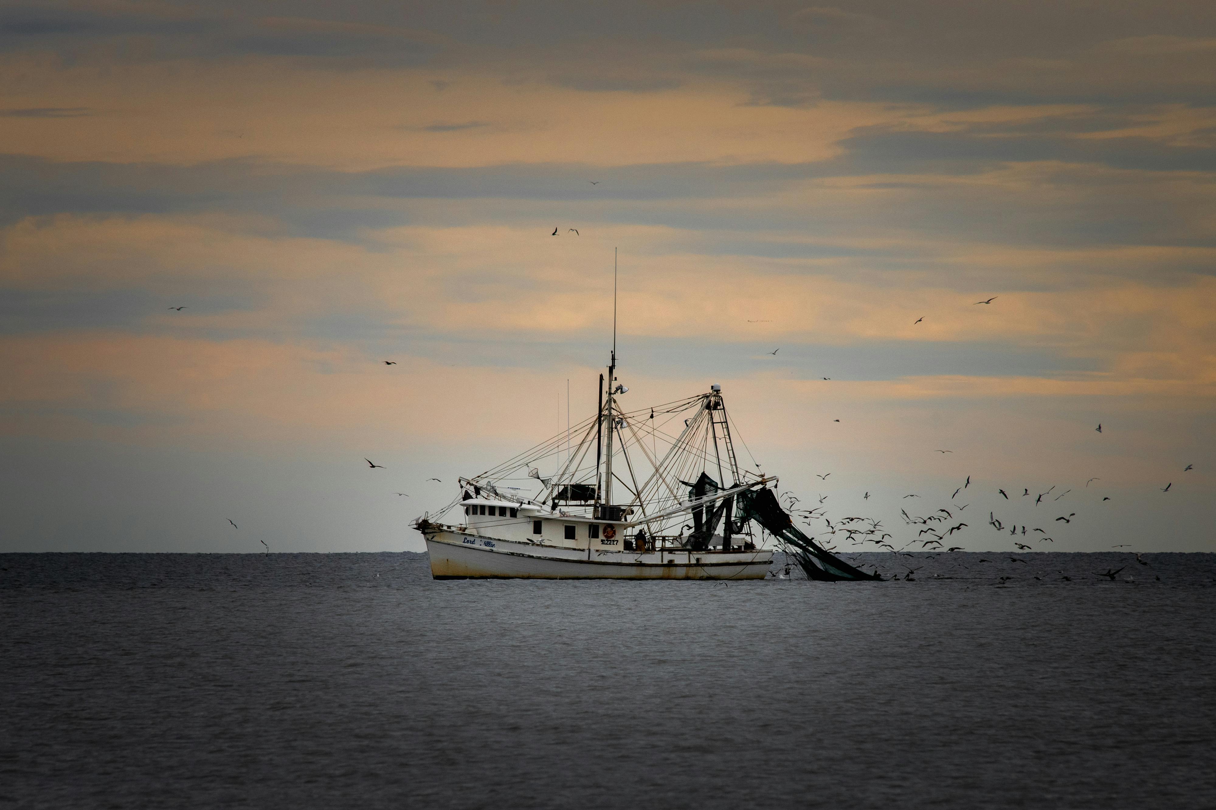 Fishing Boat in Sea at Dawn · Free Stock Photo
