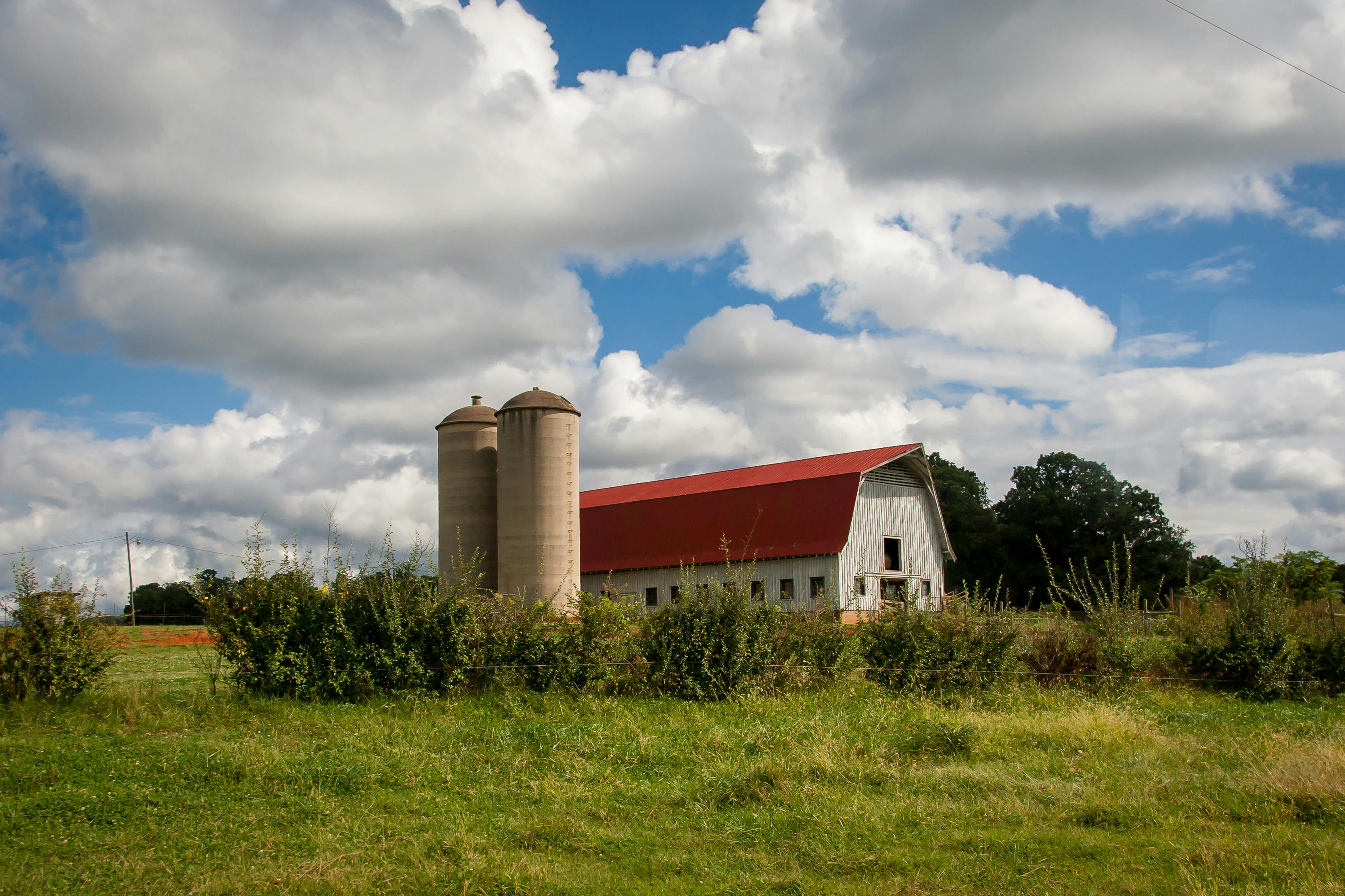 Farm Generics 142 Photos & Videos Collected by Mark Stebnicki