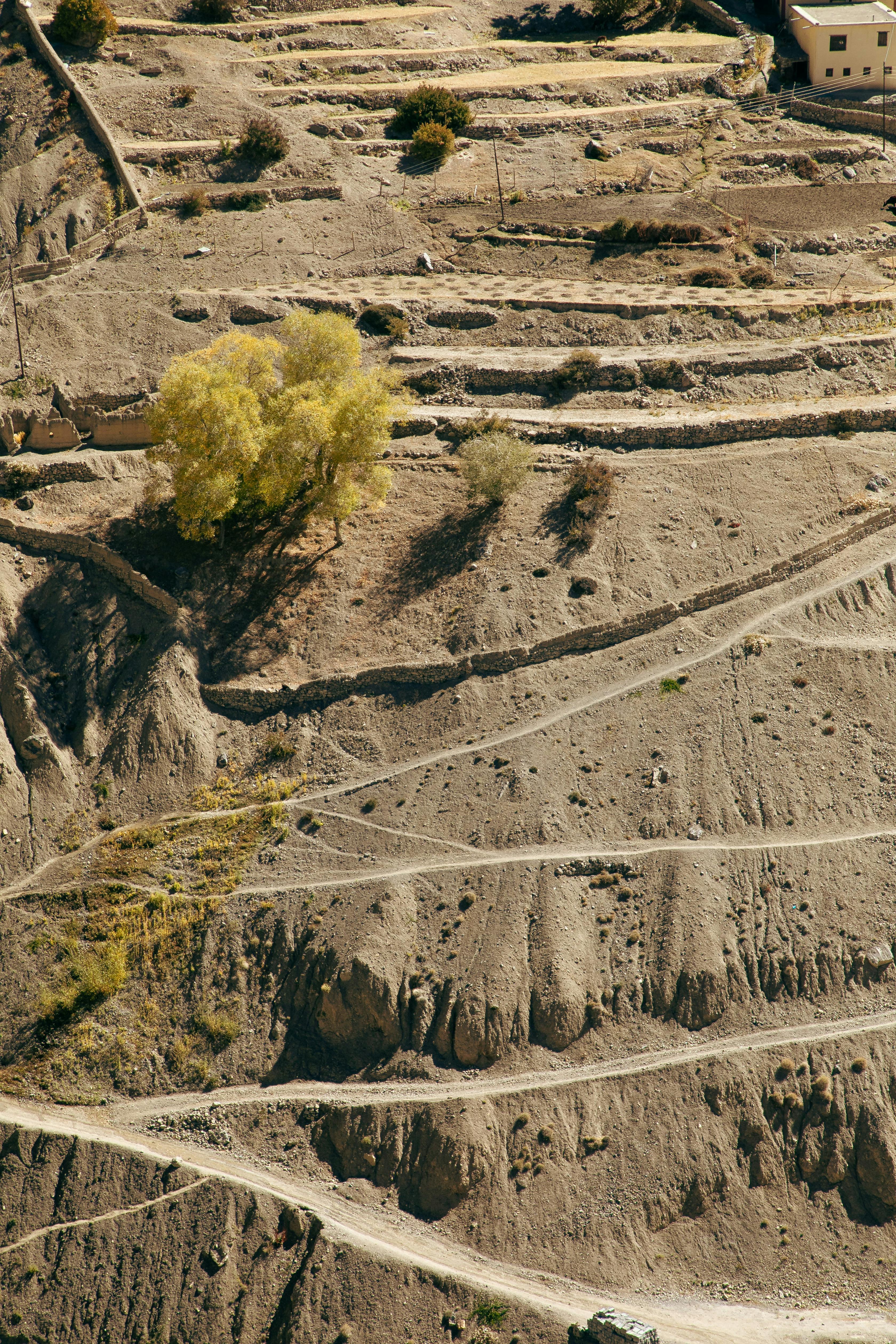 2 Paths Photos, Download The BEST Free 2 Paths Stock Photos & HD Images