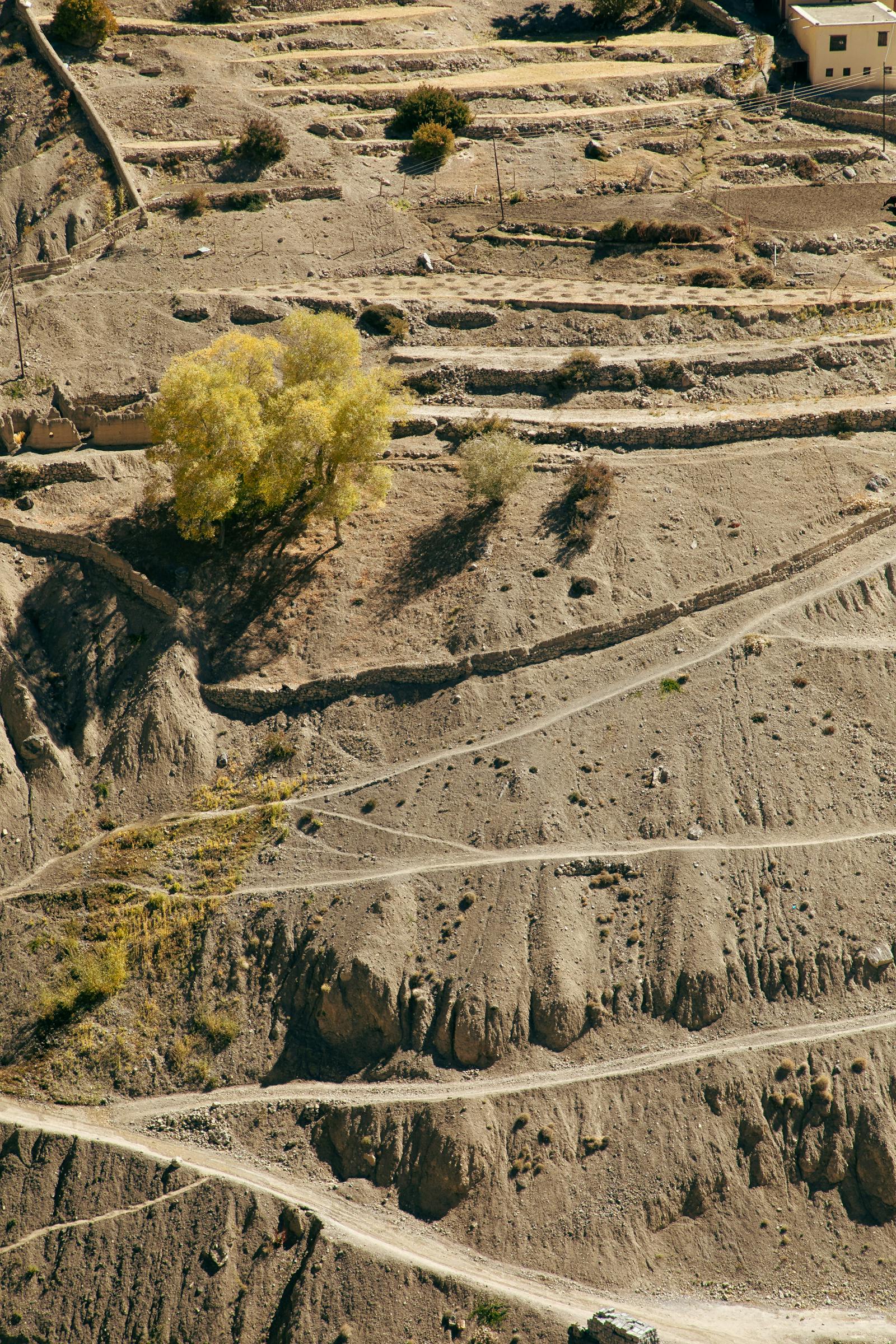 Paths Photos, Download The BEST Free Paths Stock Photos & HD Images